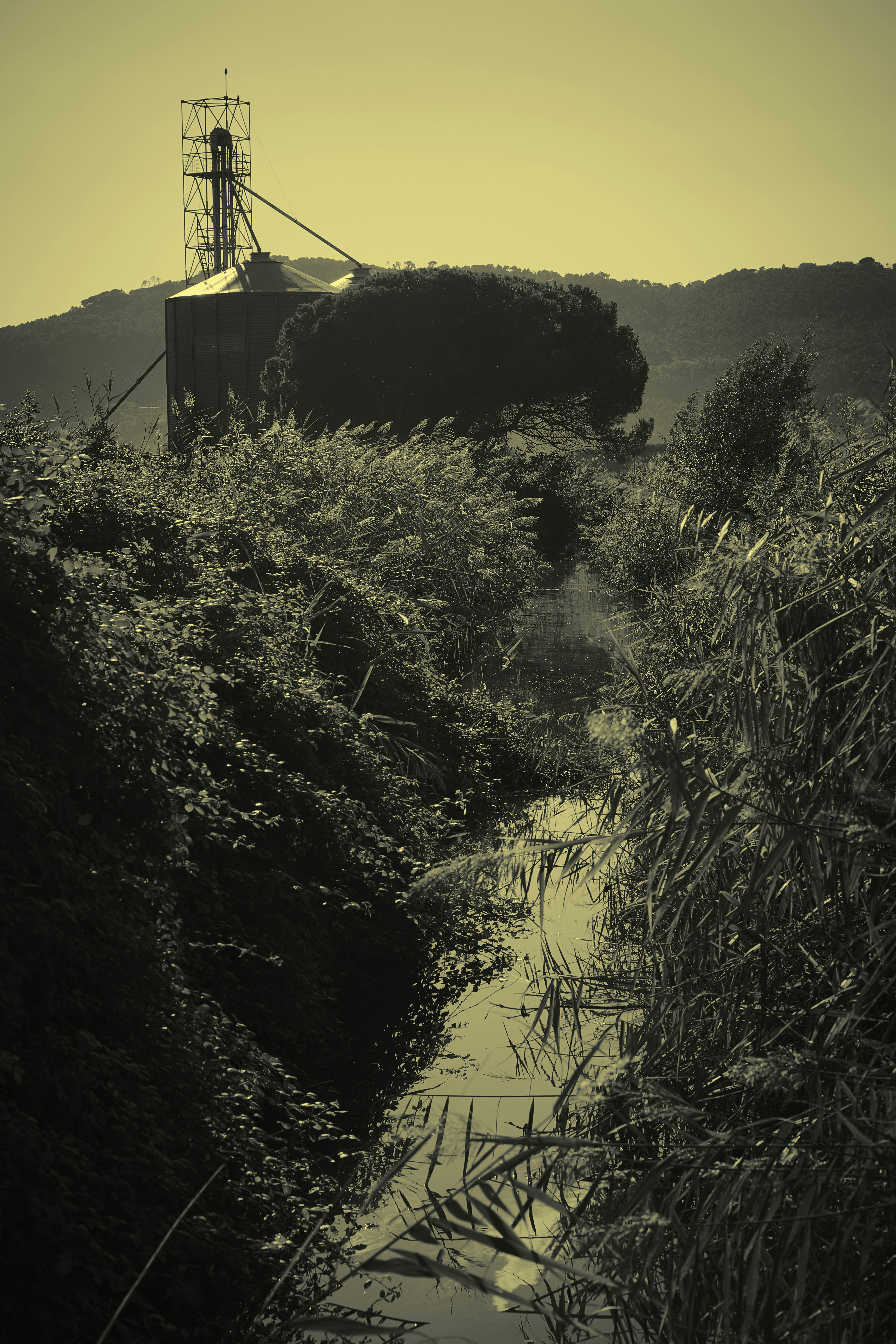 Whispers of the Past: A Forgotten Landscape