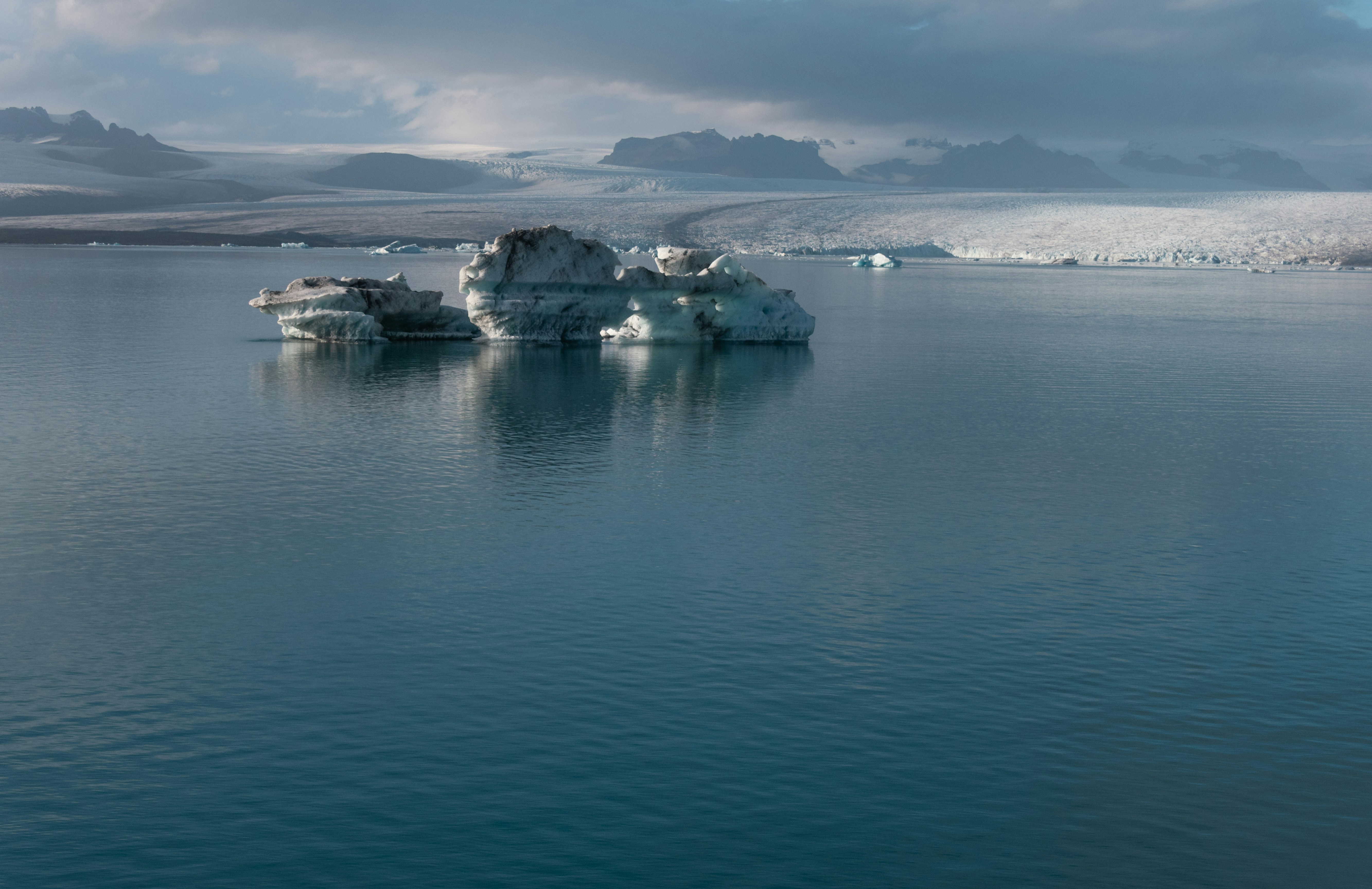 Silent Giants of the Glacial Waters