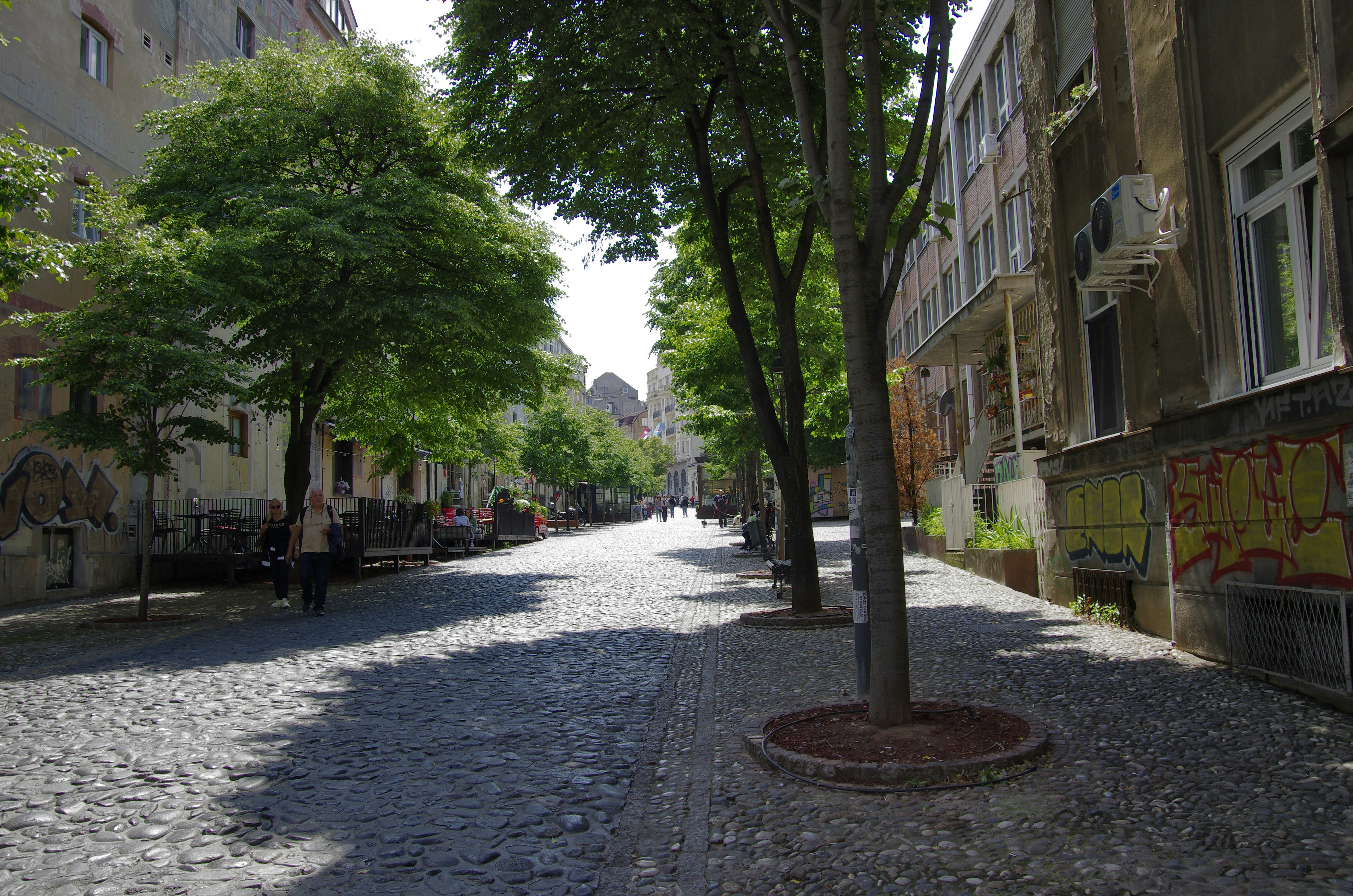 Whispers of a Sunlit Street