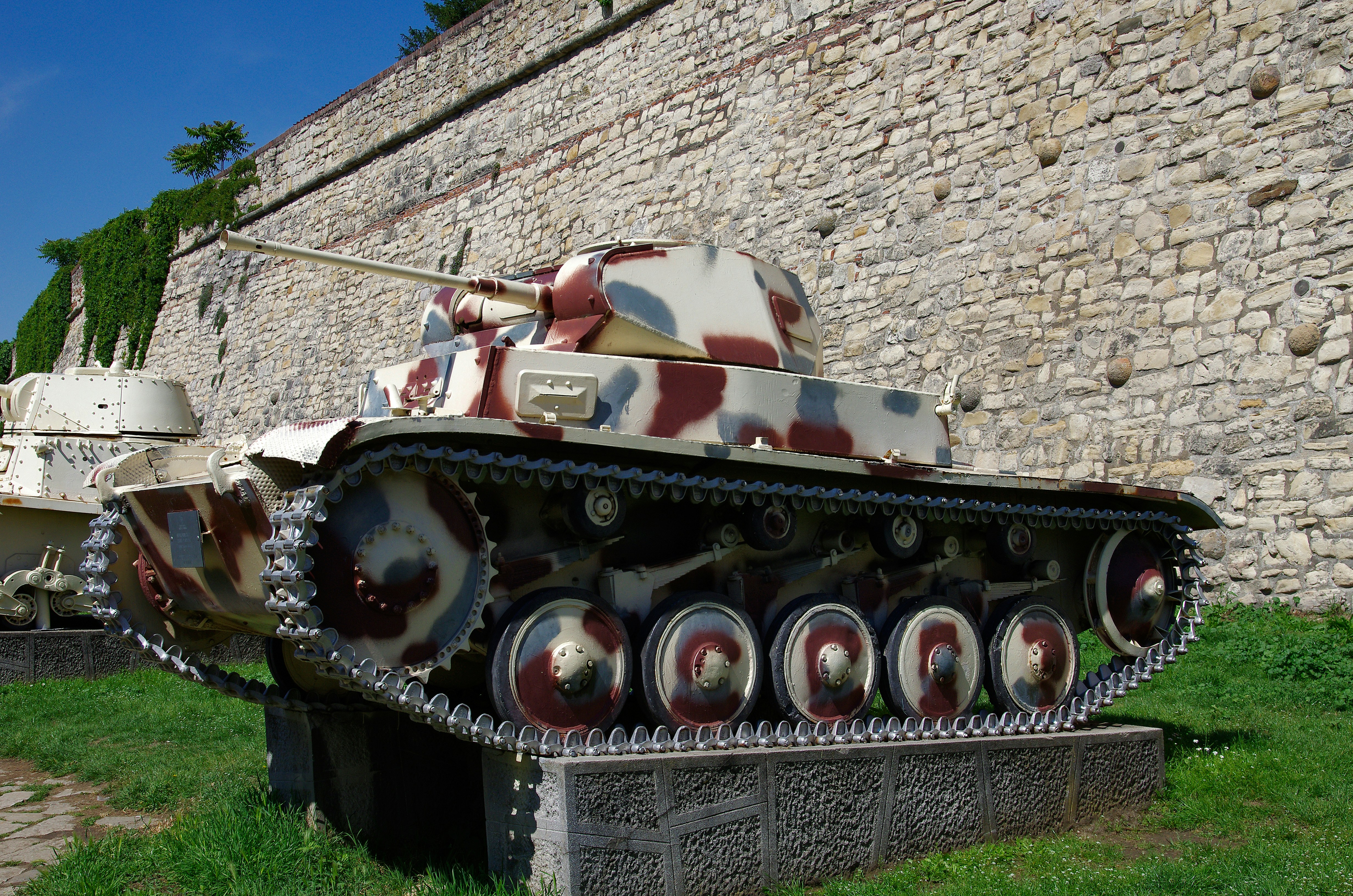 Echoes of History: The Camouflaged Sentinel