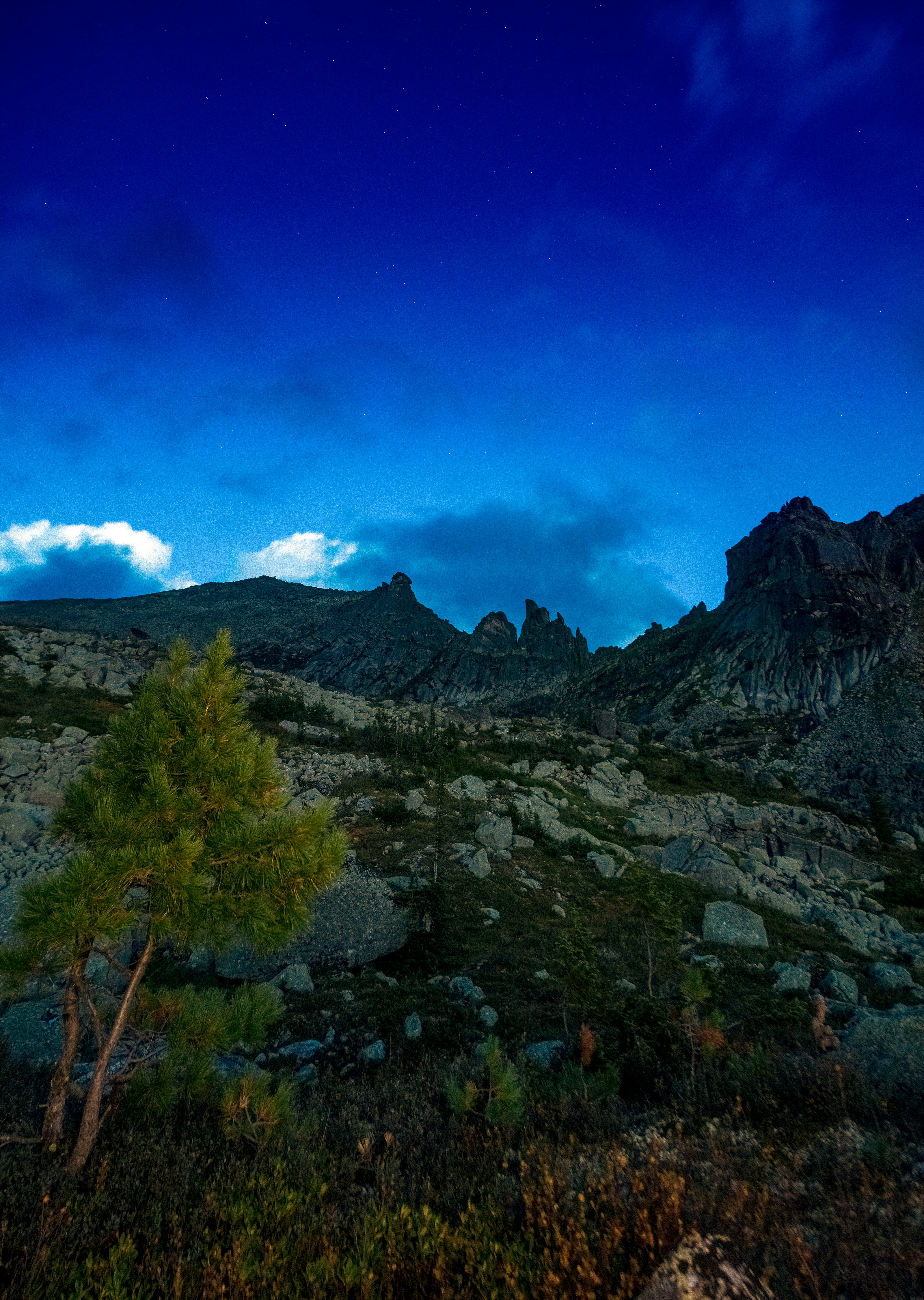 Rocky mountains under a starry night sky