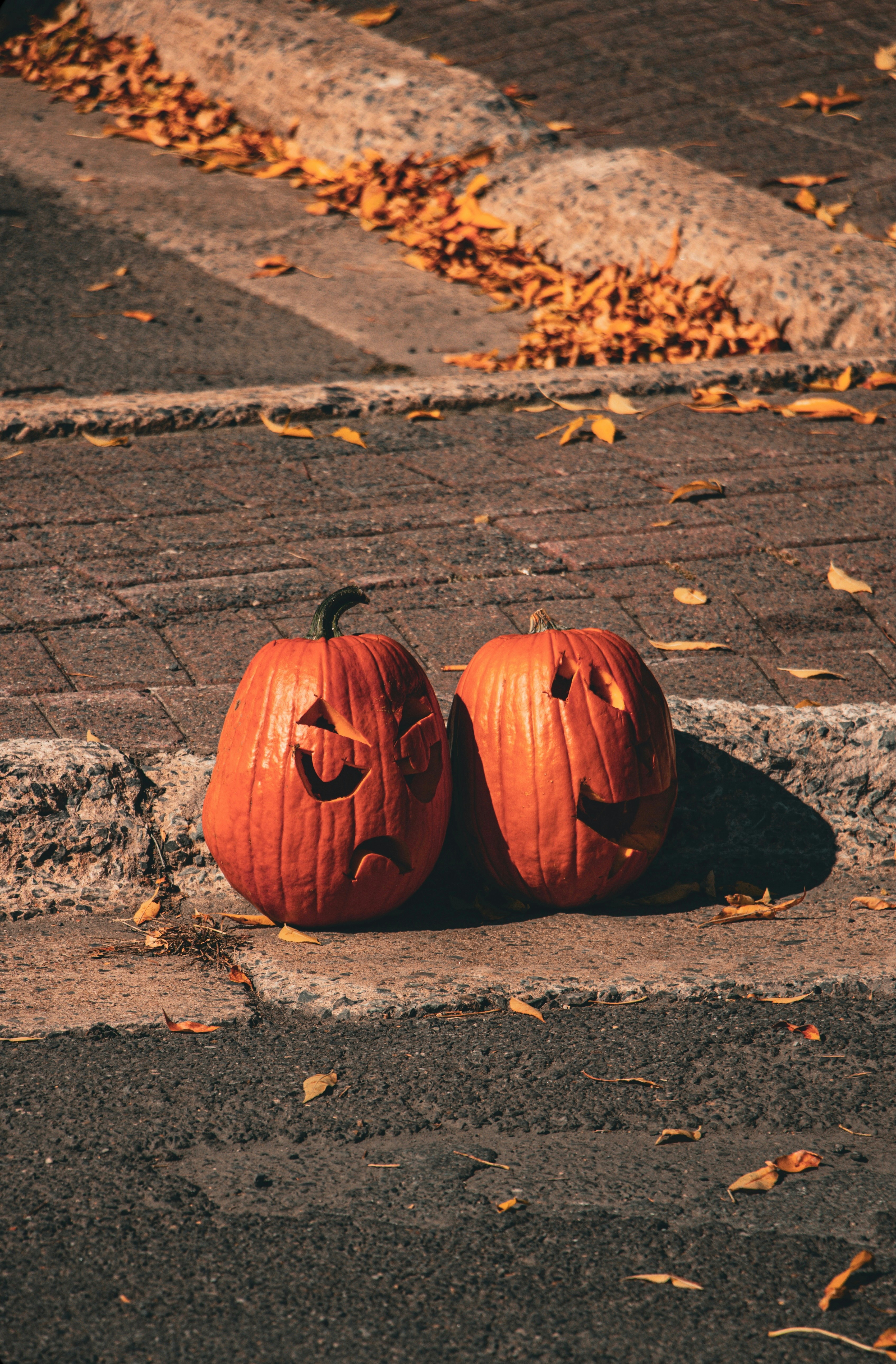 Dual Expressions of Autumn: The Pumpkin Paradox
