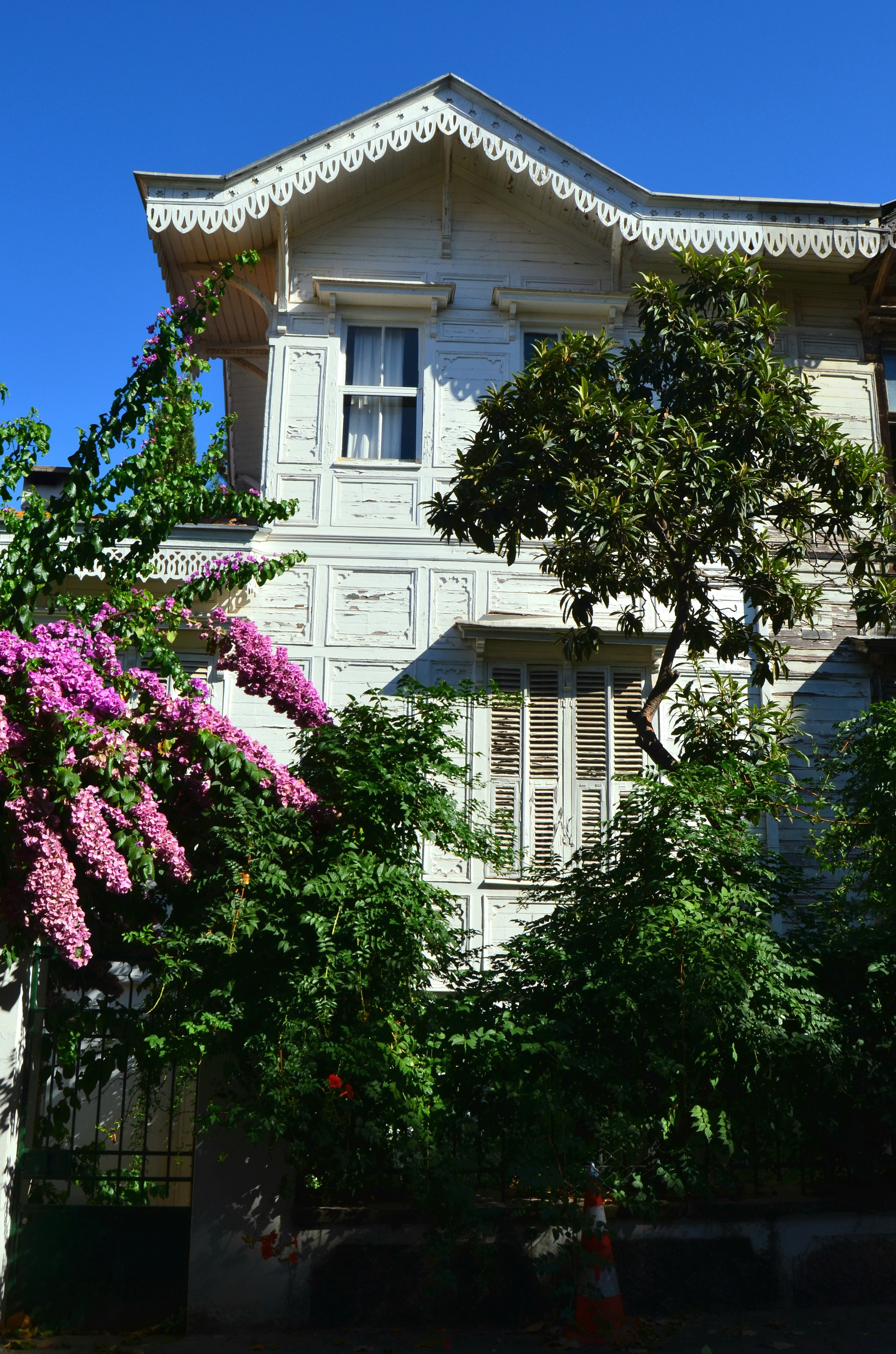 Bougainvillea-Framed White Wooden House Under a Pristine Blue Sky