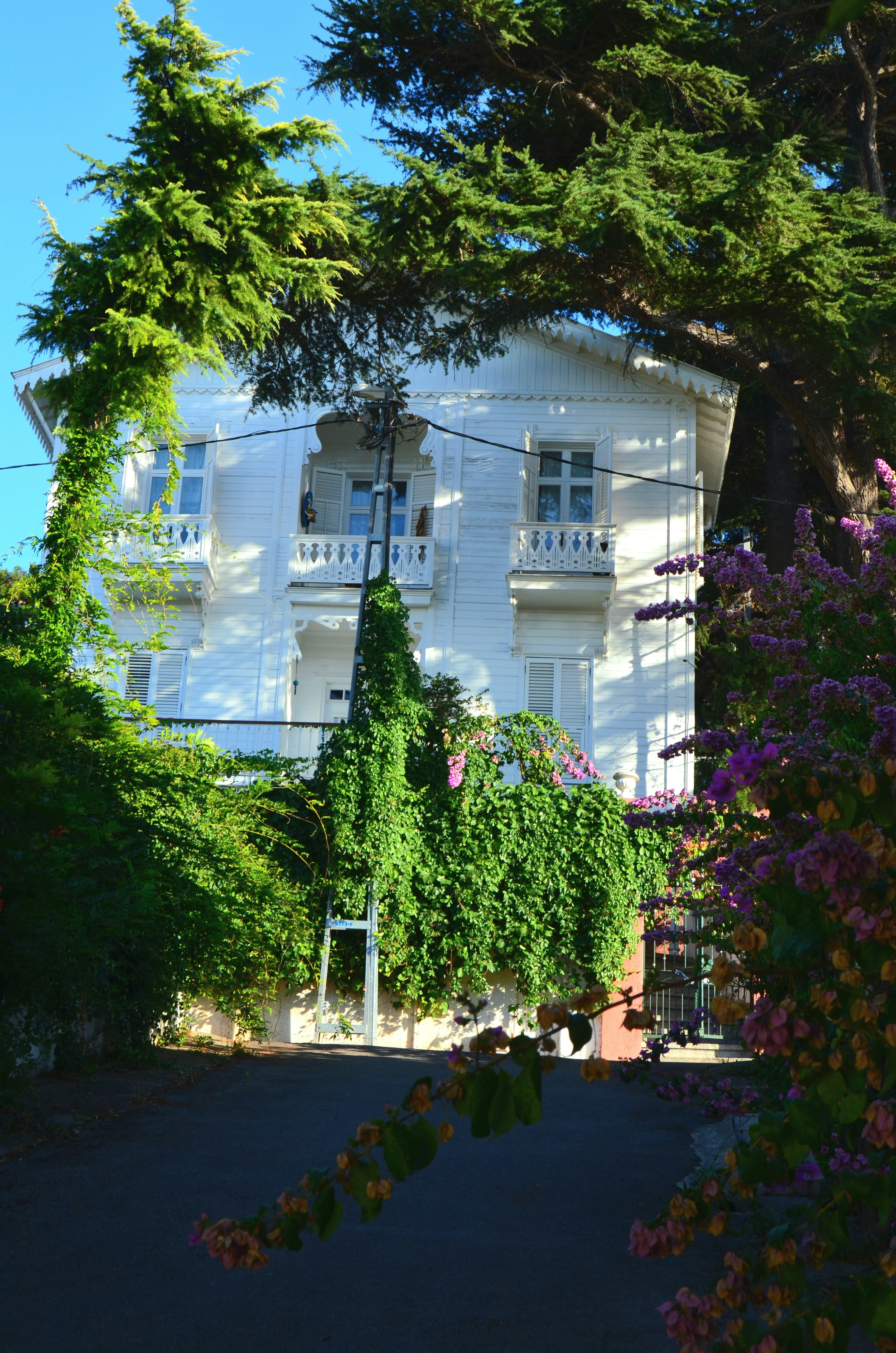 White house surrounded by lush green trees and flowers.