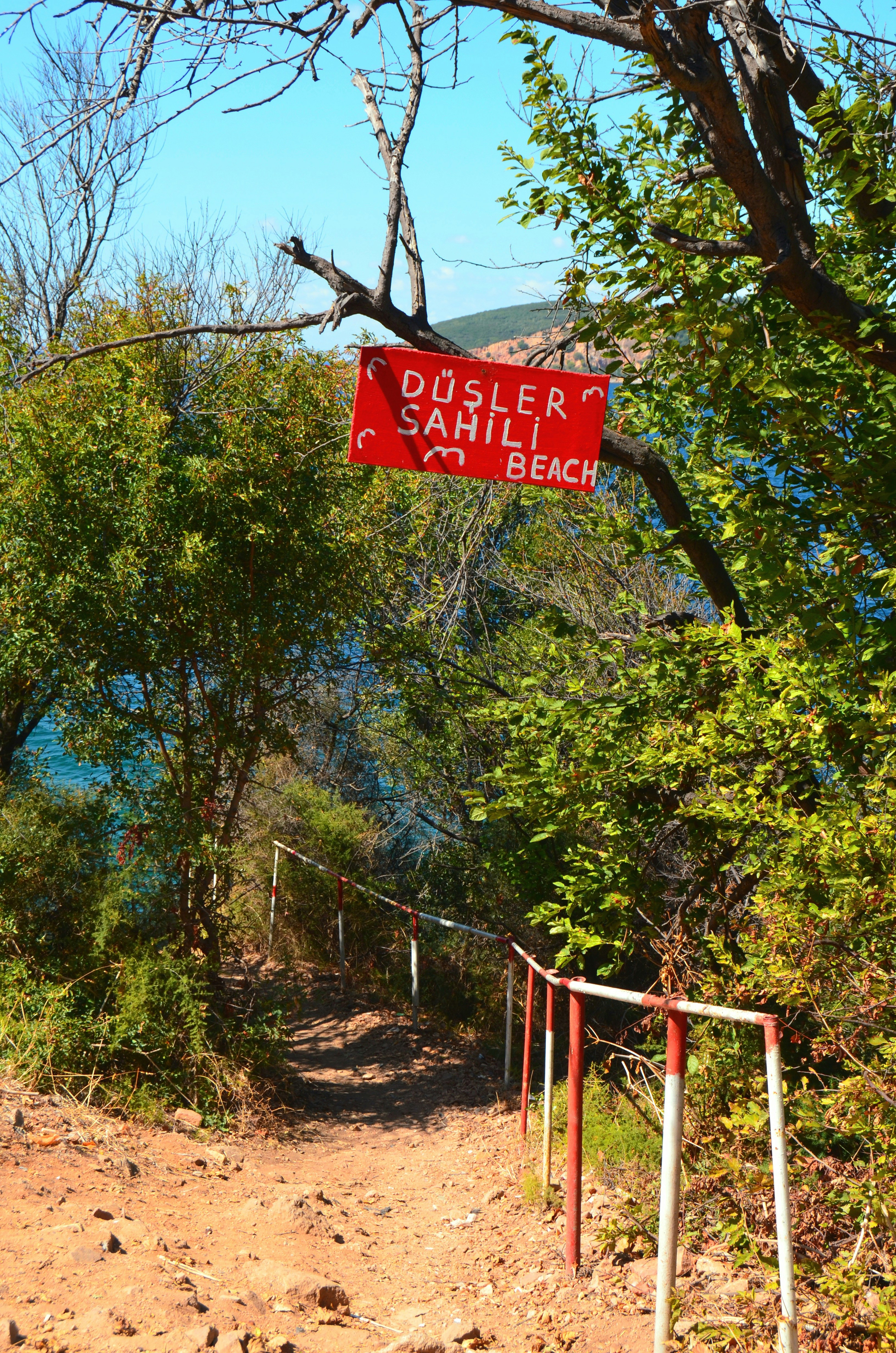 Pathway to Serenity: Discovering Düšler Sahili