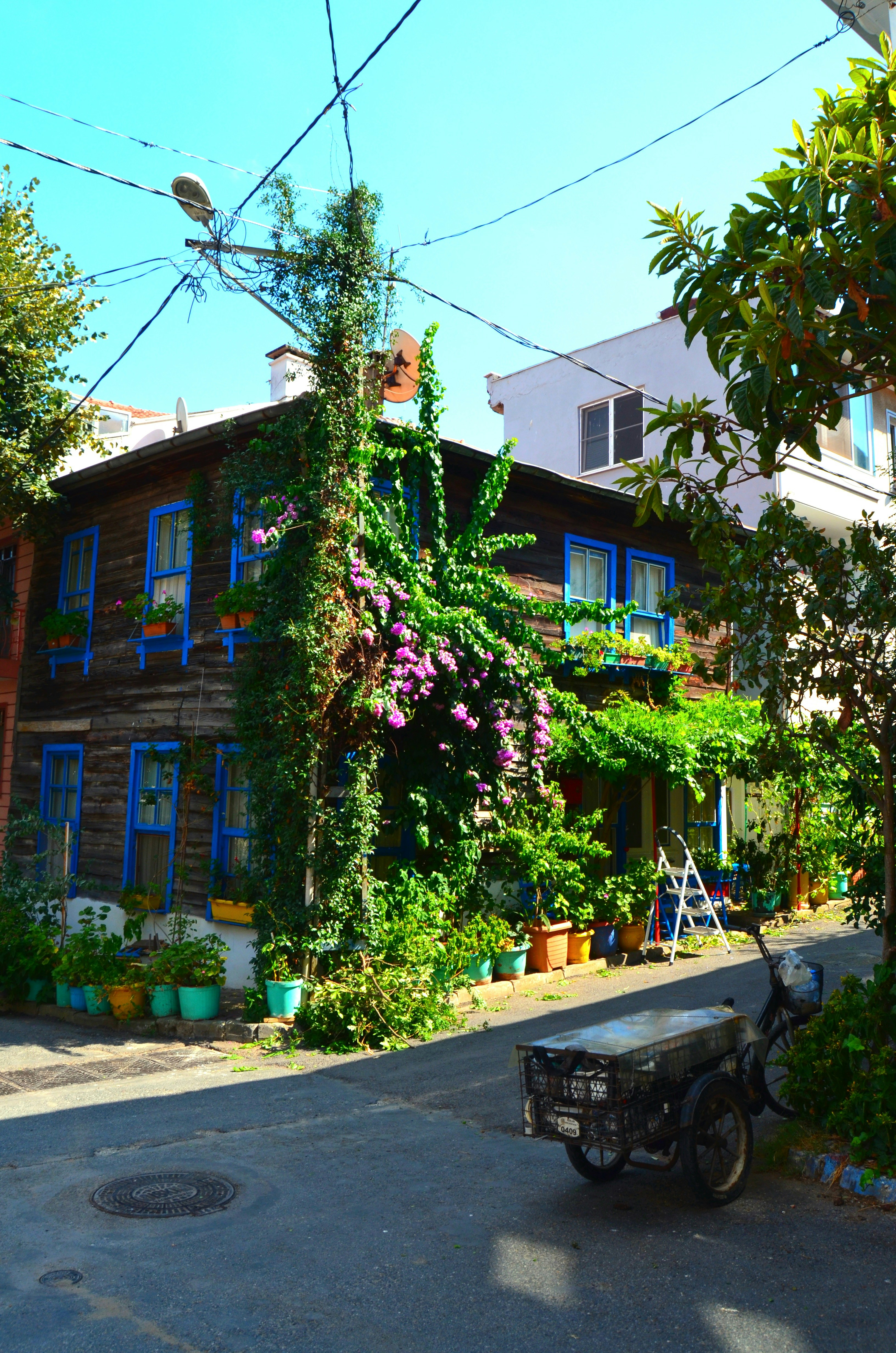 Whimsical Haven: A Colorful Retreat in Nature's Embrace