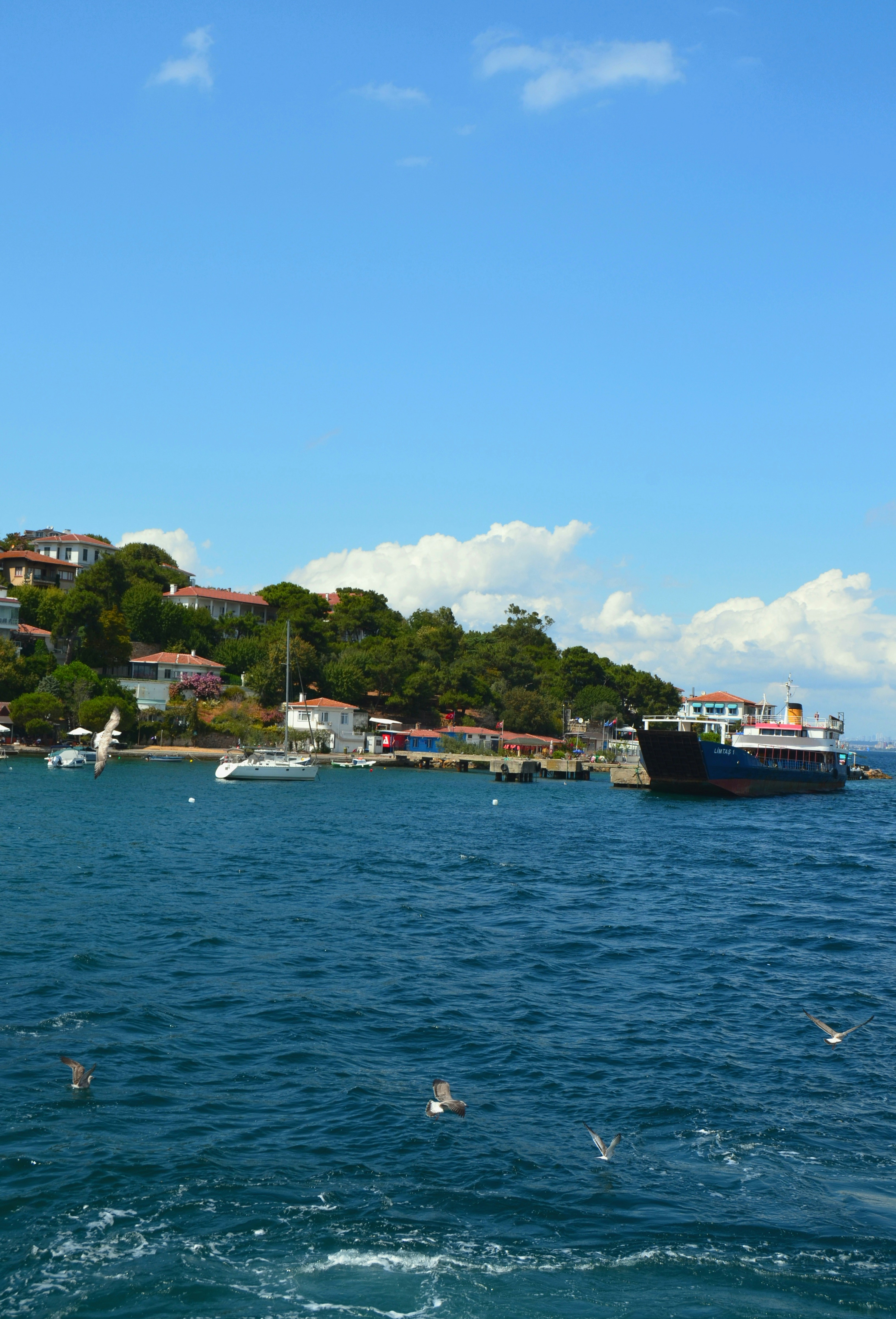 Harbor Serenity: A Glimpse of Coastal Life