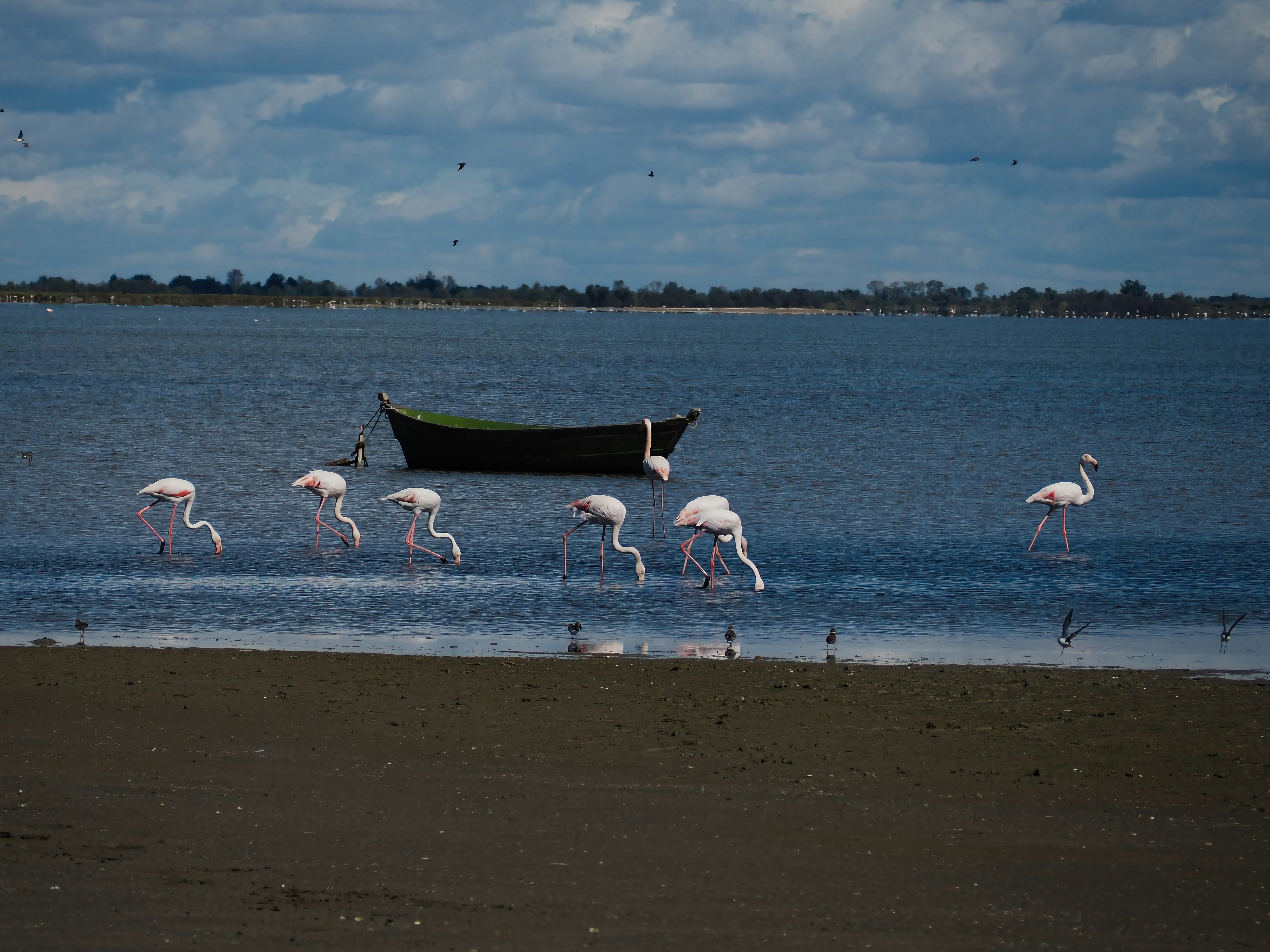 Graceful Gatherings by the Shoreline