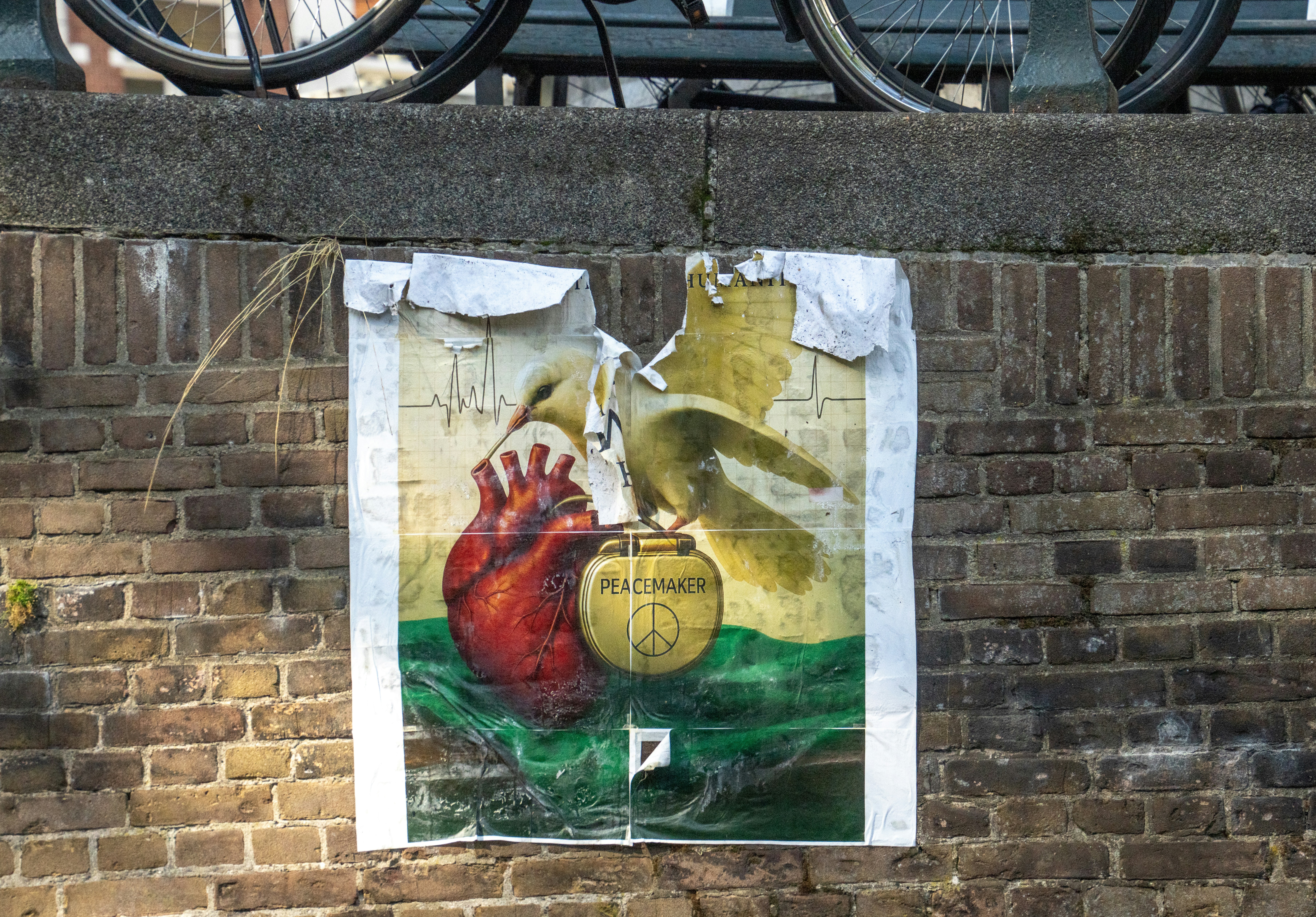 Torn poster with heart and bird on brick wall