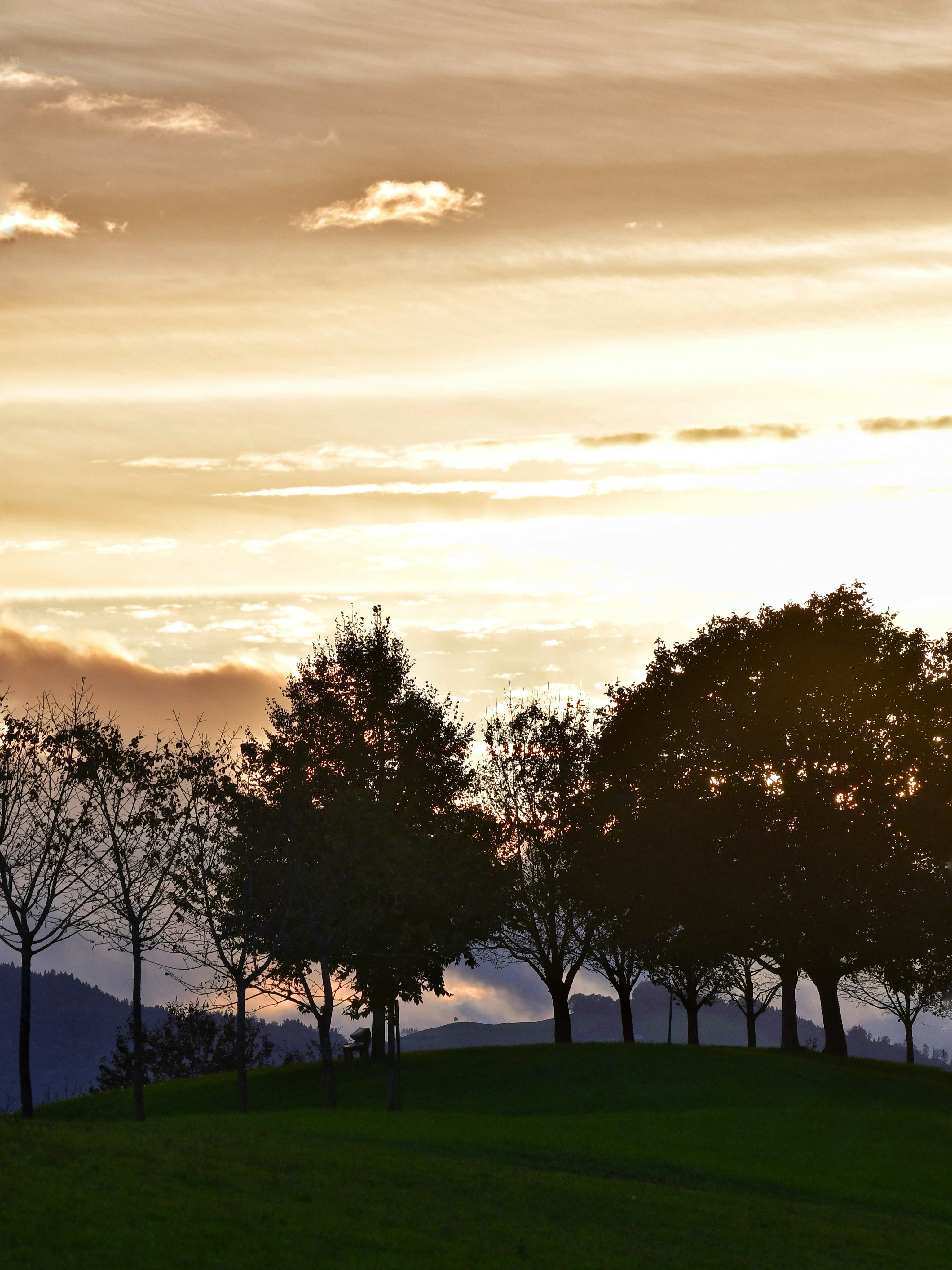 Whispers of Twilight: A Serene Horizon