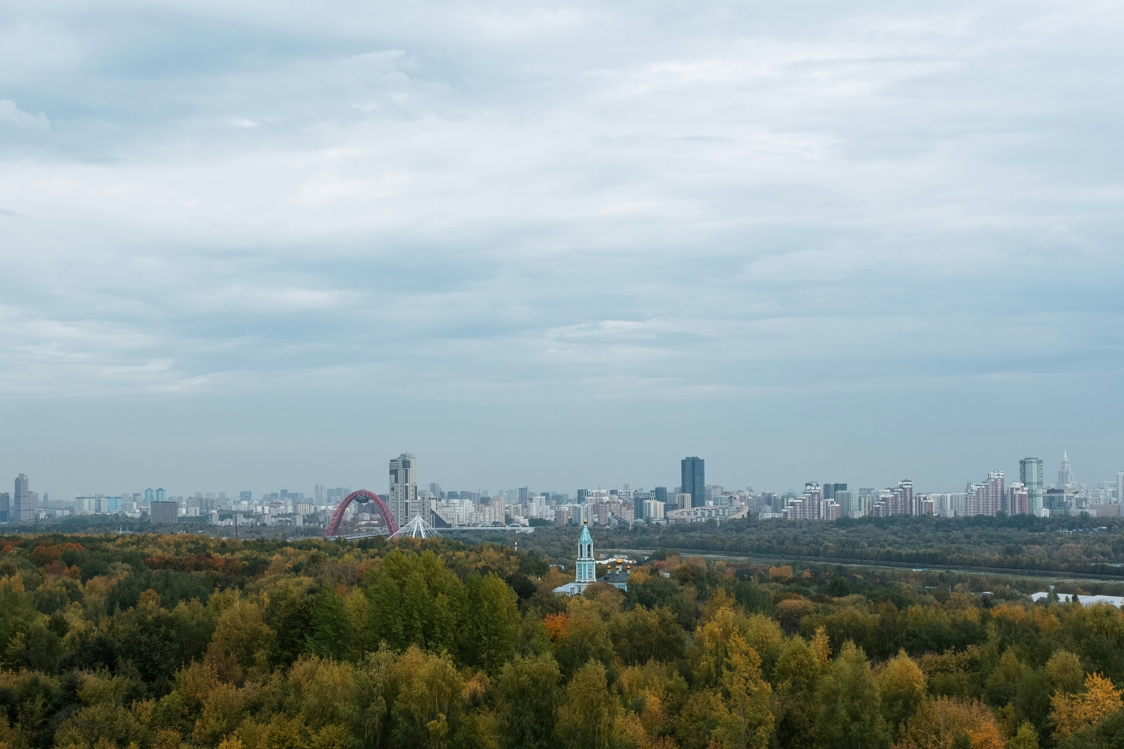 Urban Harmony: Nature Meets Skyline