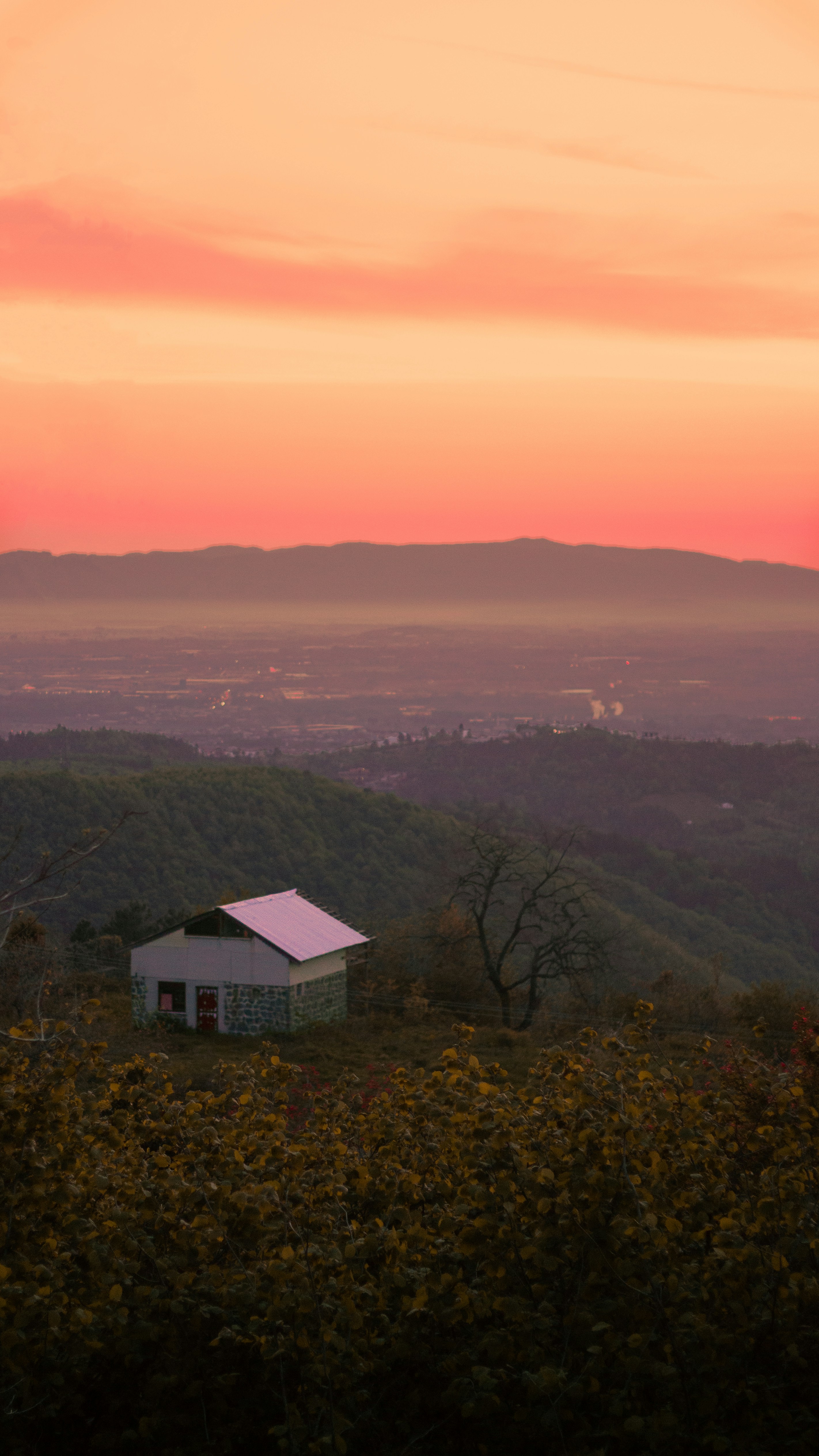 Hushed Sunset Over Rolling Vines: A White Cottage on the Hillside