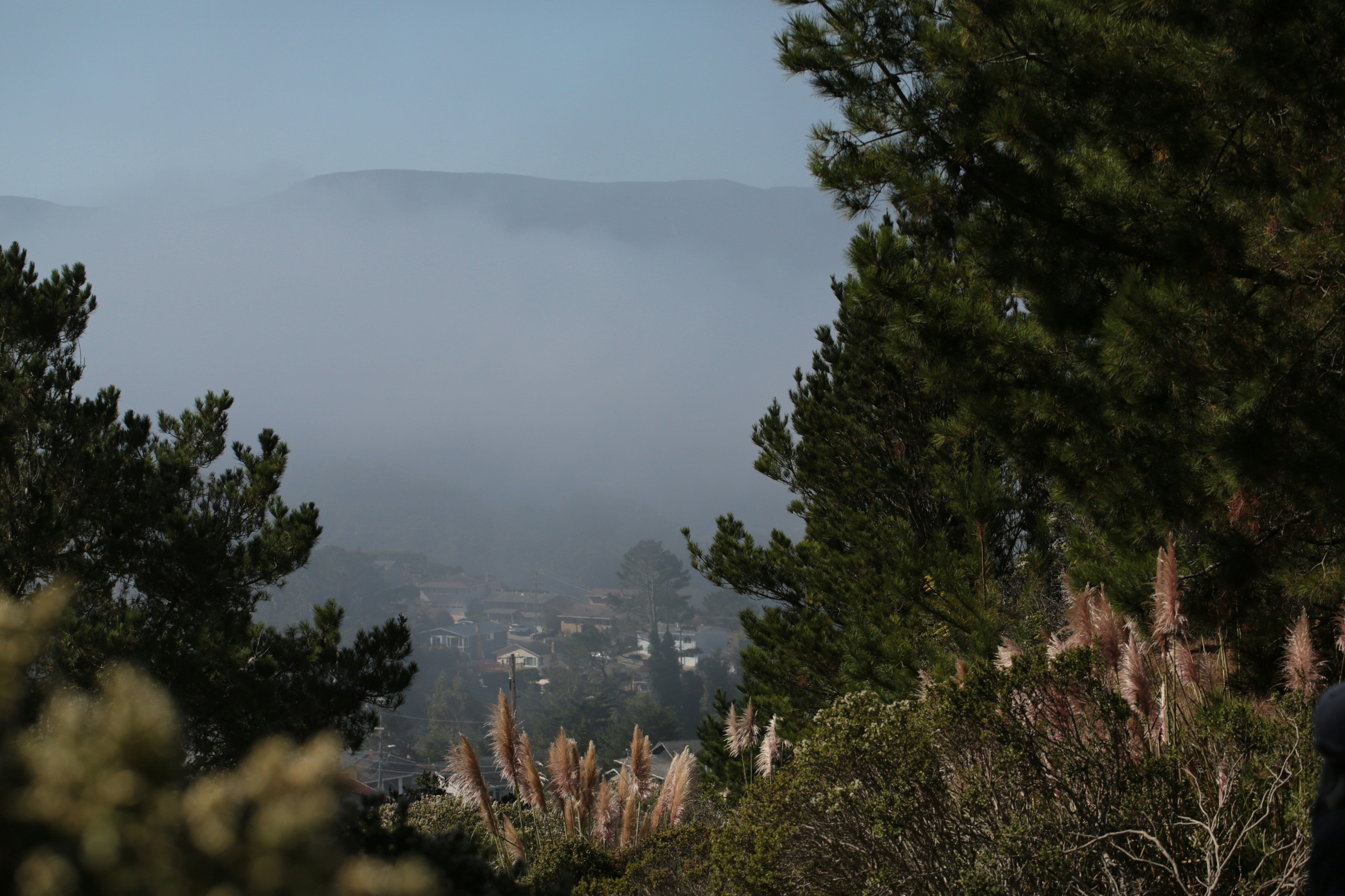 A serene landscape shrouded in fog, revealing a distant town nestled among trees and hills. The soft light enhances the tranquil atmosphere.