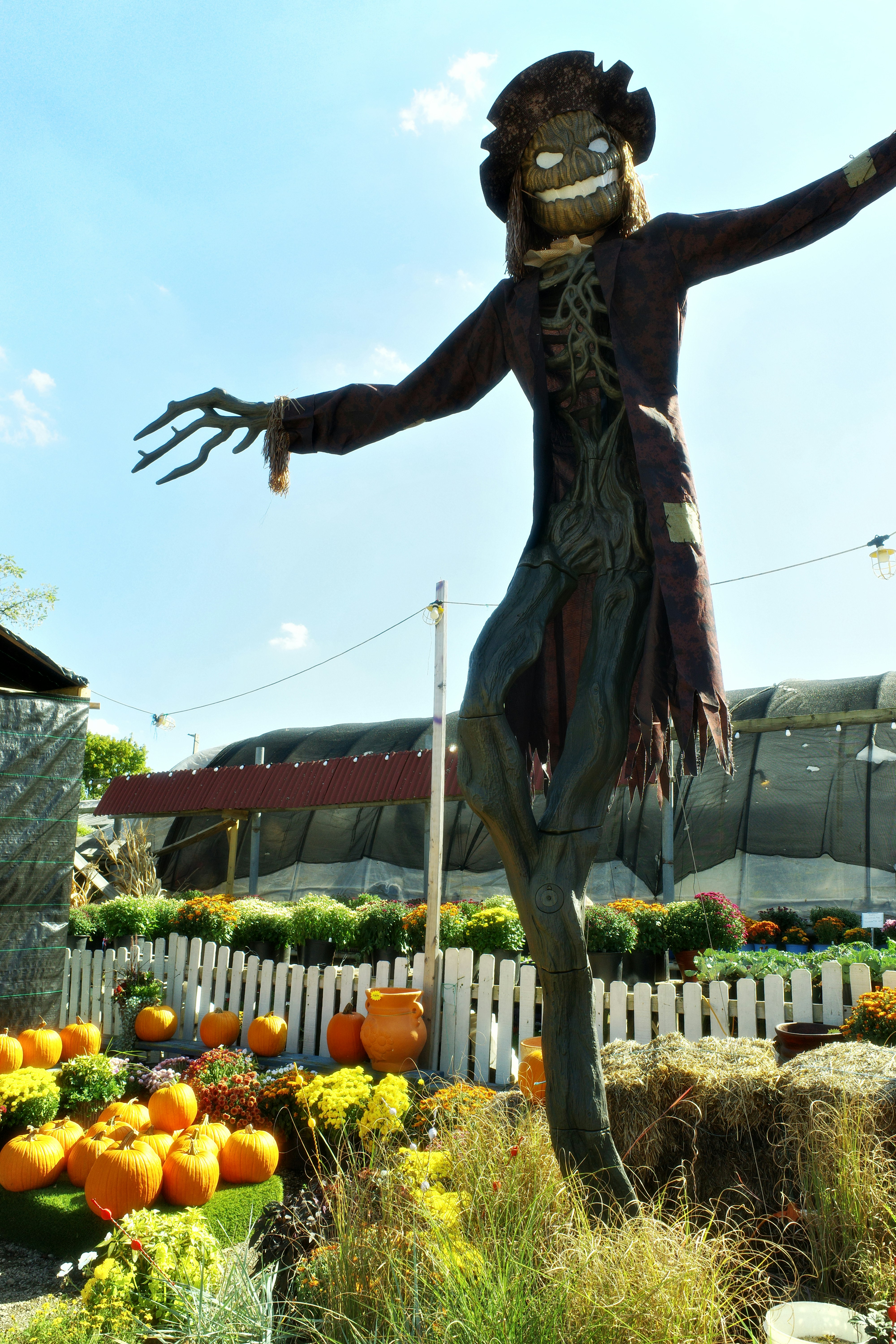 Harvest Guardian: A Scarecrow's Stand