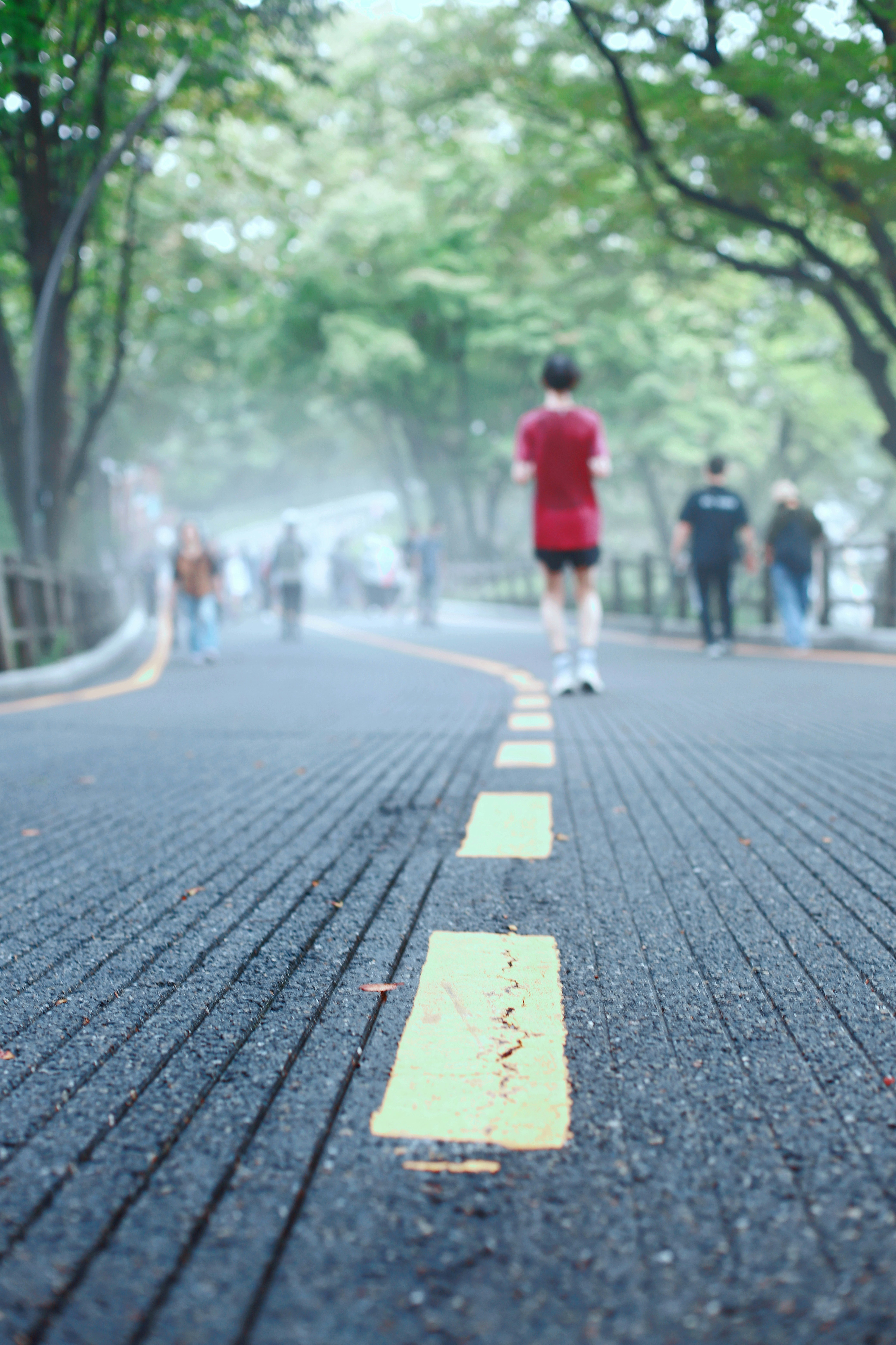 Journey Through the Misty Path