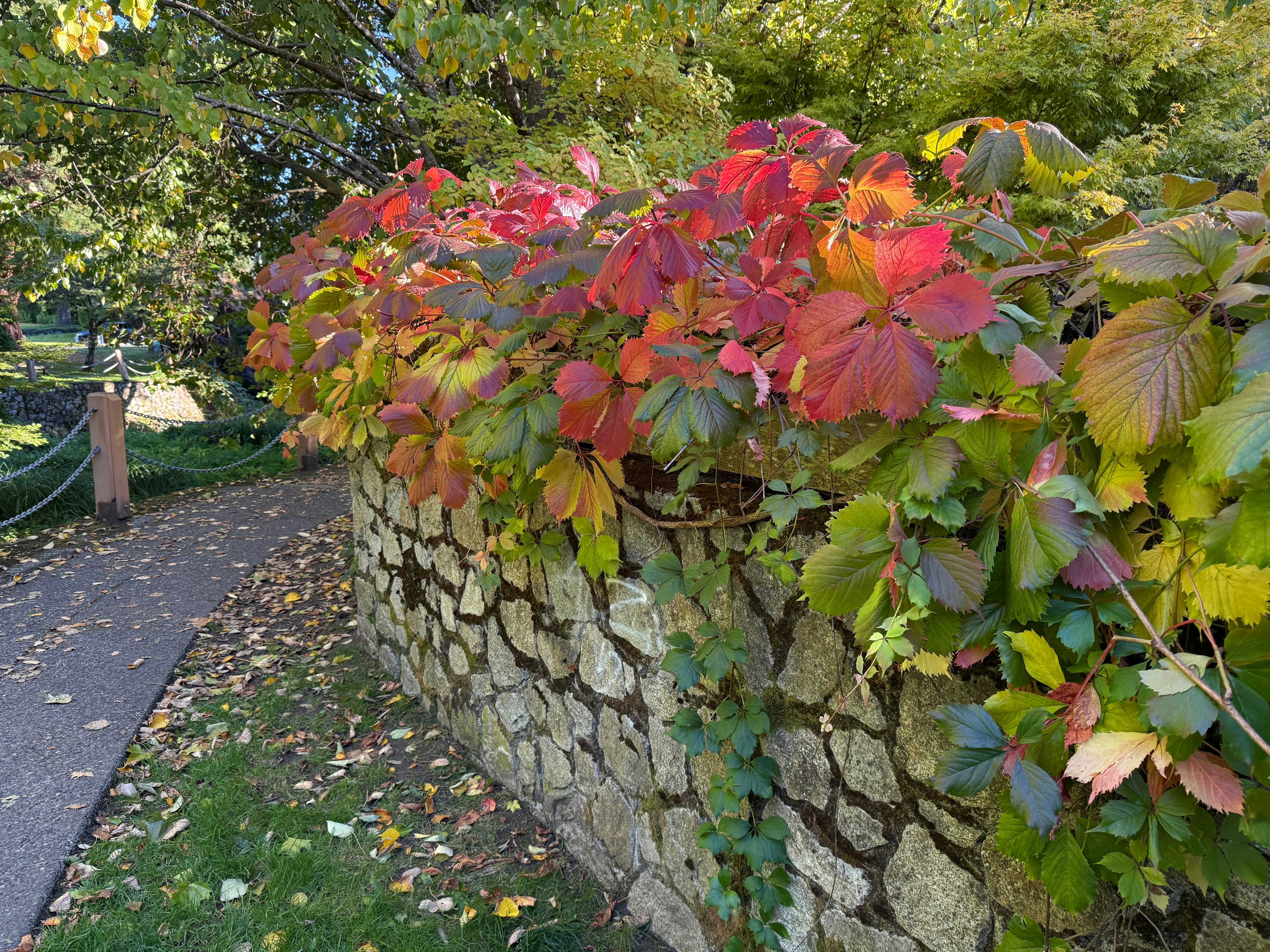 Autumn's Embrace: A Tapestry of Color and Texture
