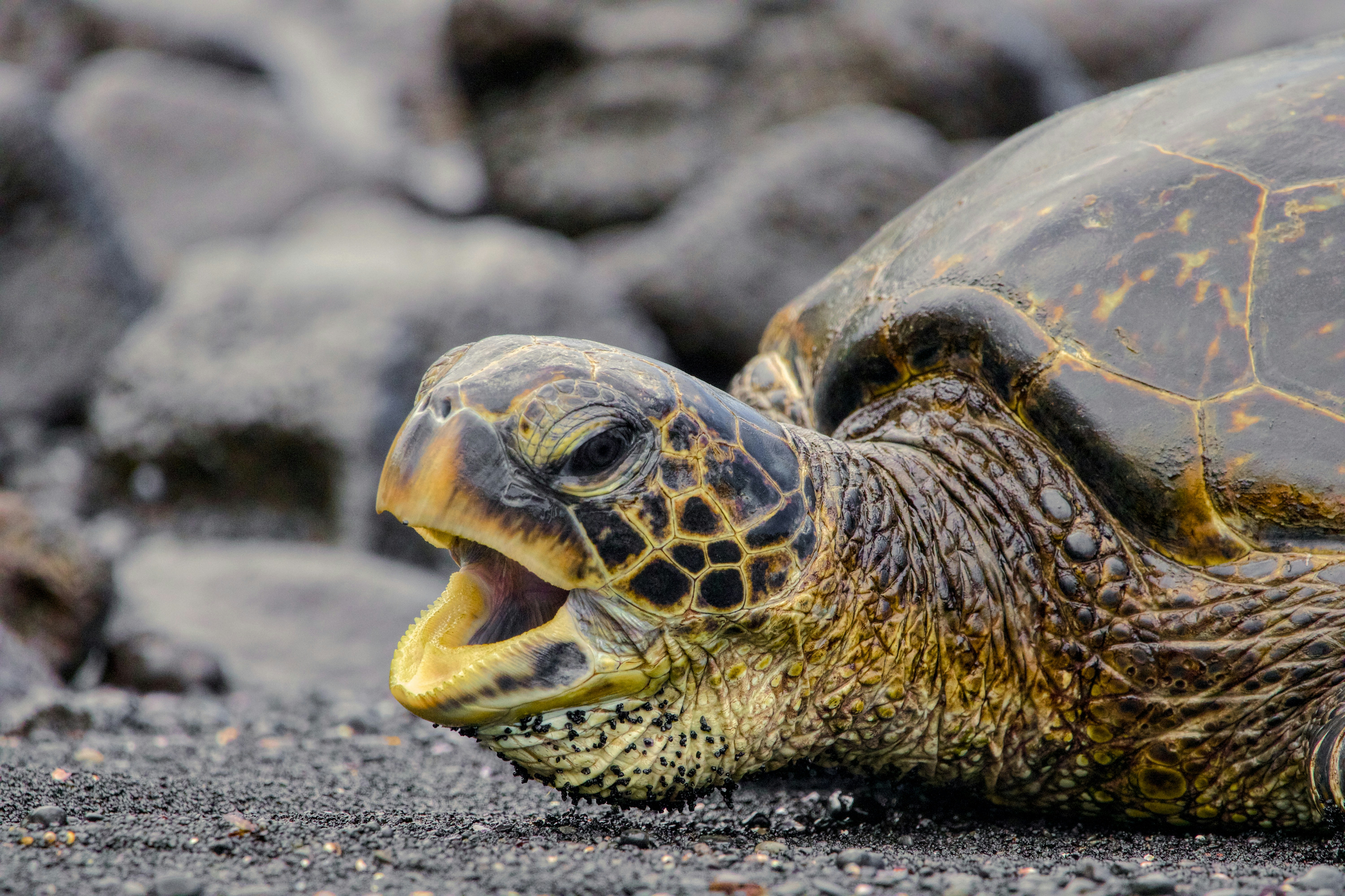 Photo by James Lee with Canon EOS 750D