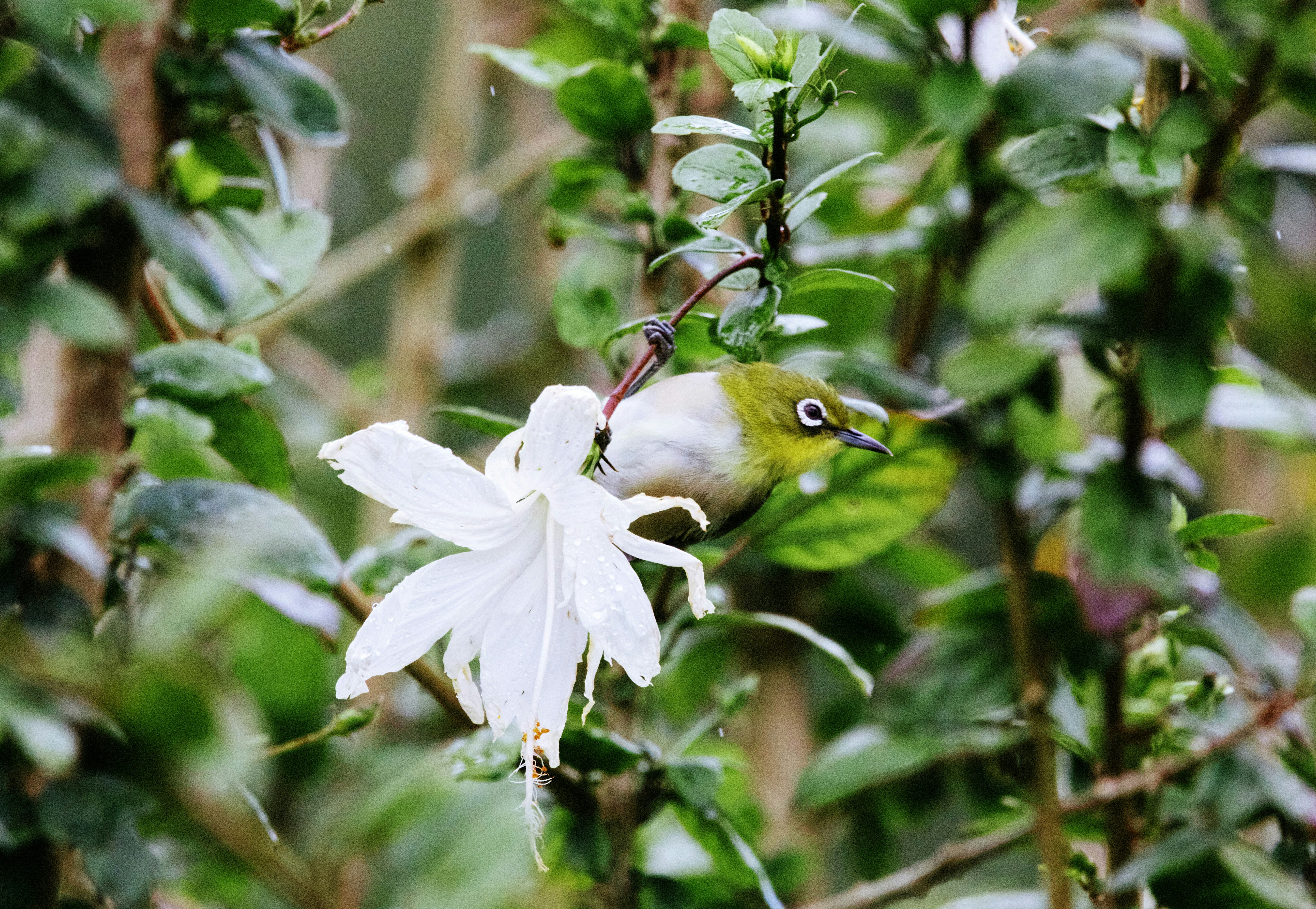 Photo by James Lee with Canon EOS 750D