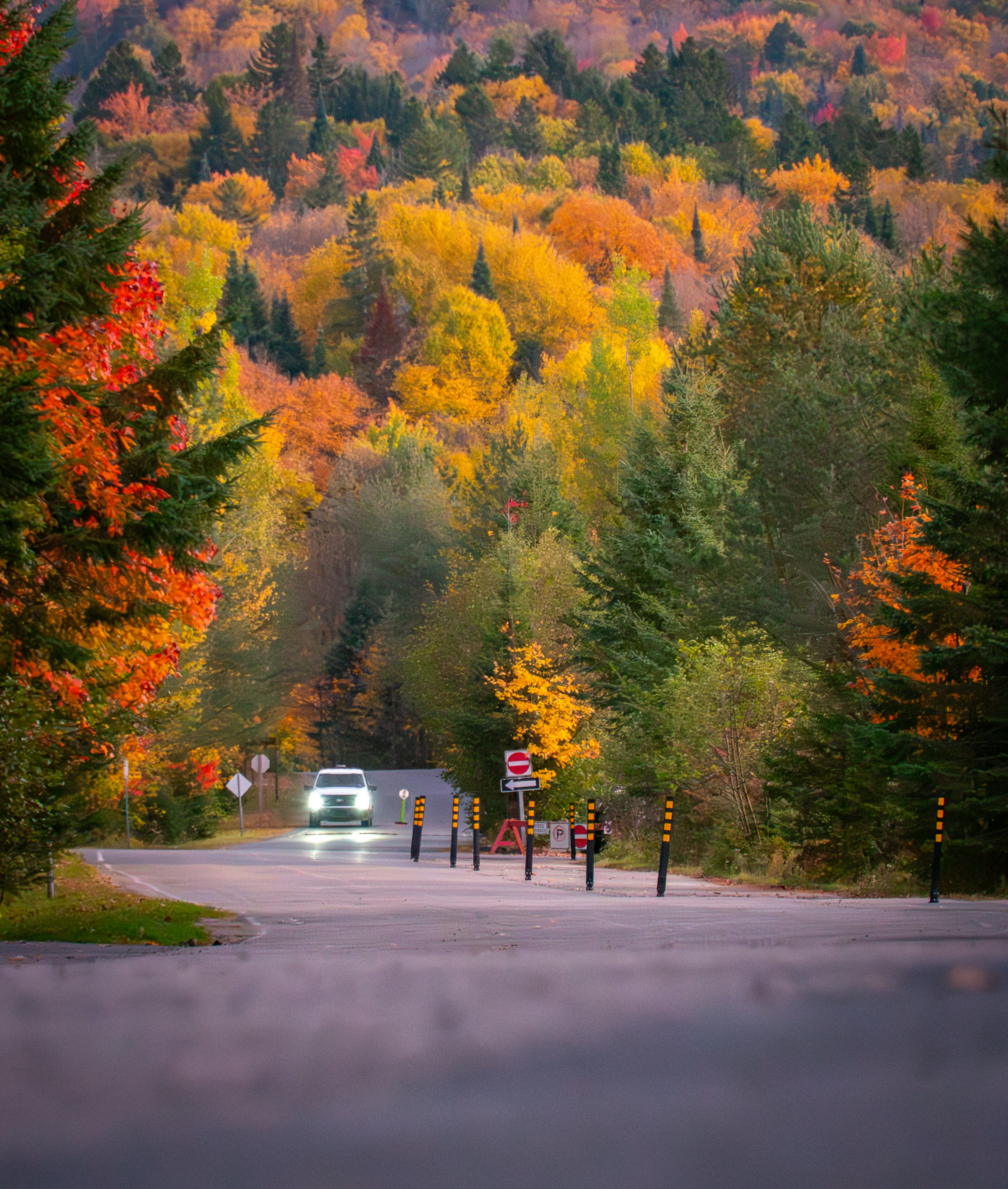 Autumn Gate: A Quiet Road Through a Fire-Hued Forest as a Car Approaches Barriers