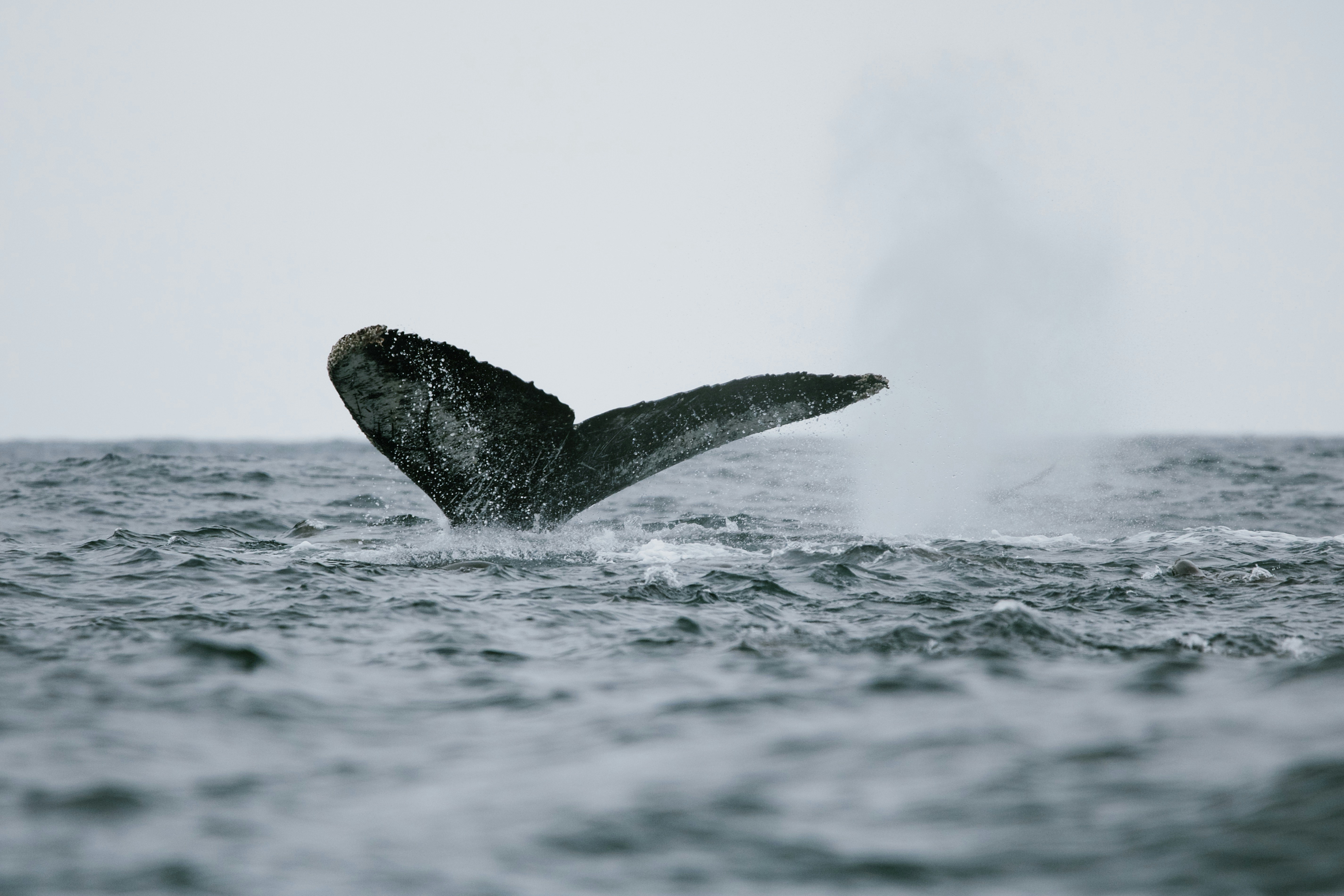 Photo by James Lee with Canon EOS 750D