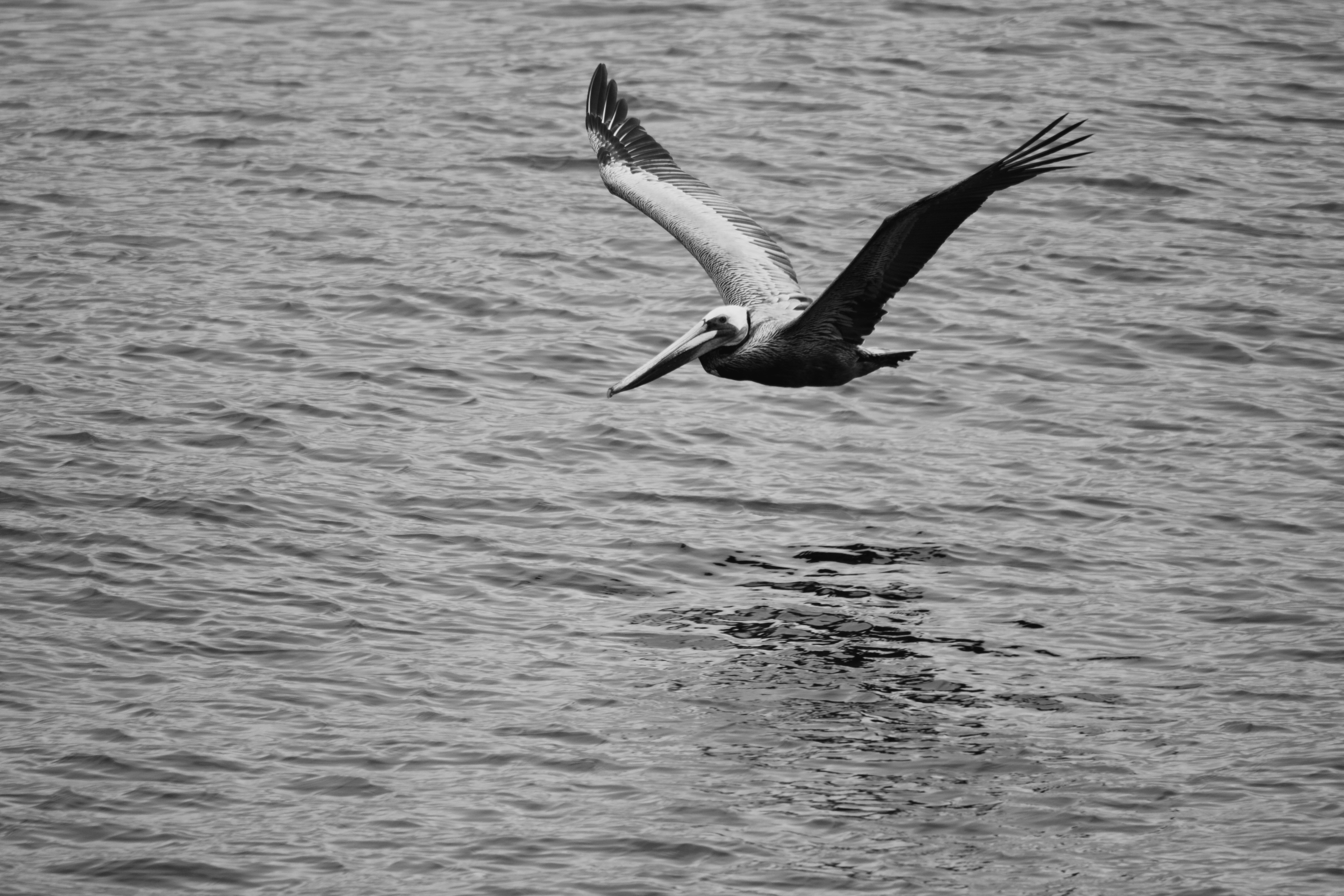 Photo by James Lee with Canon EOS 750D