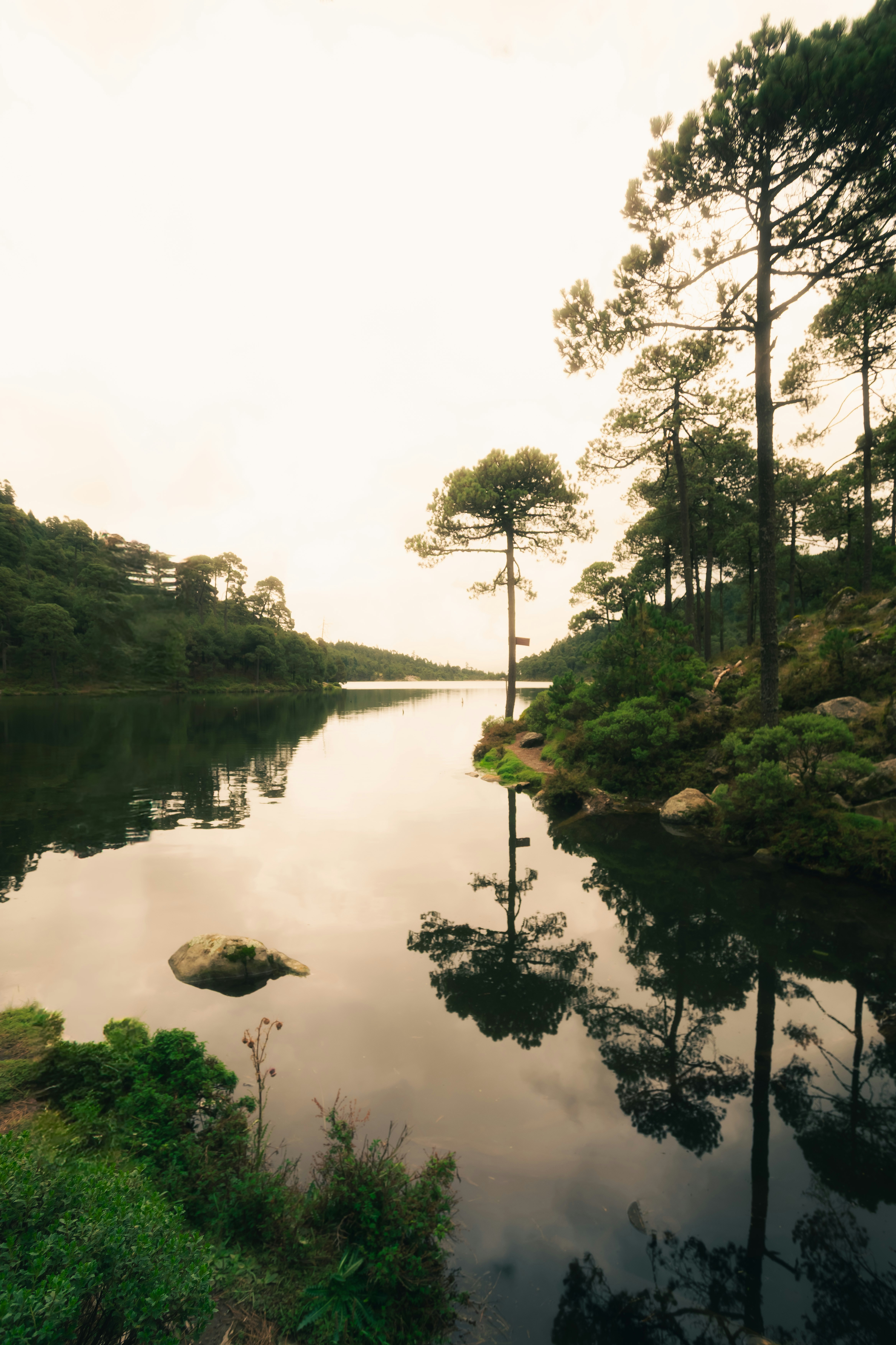 Reflections of Tranquility: A Serene Lakeside Scene