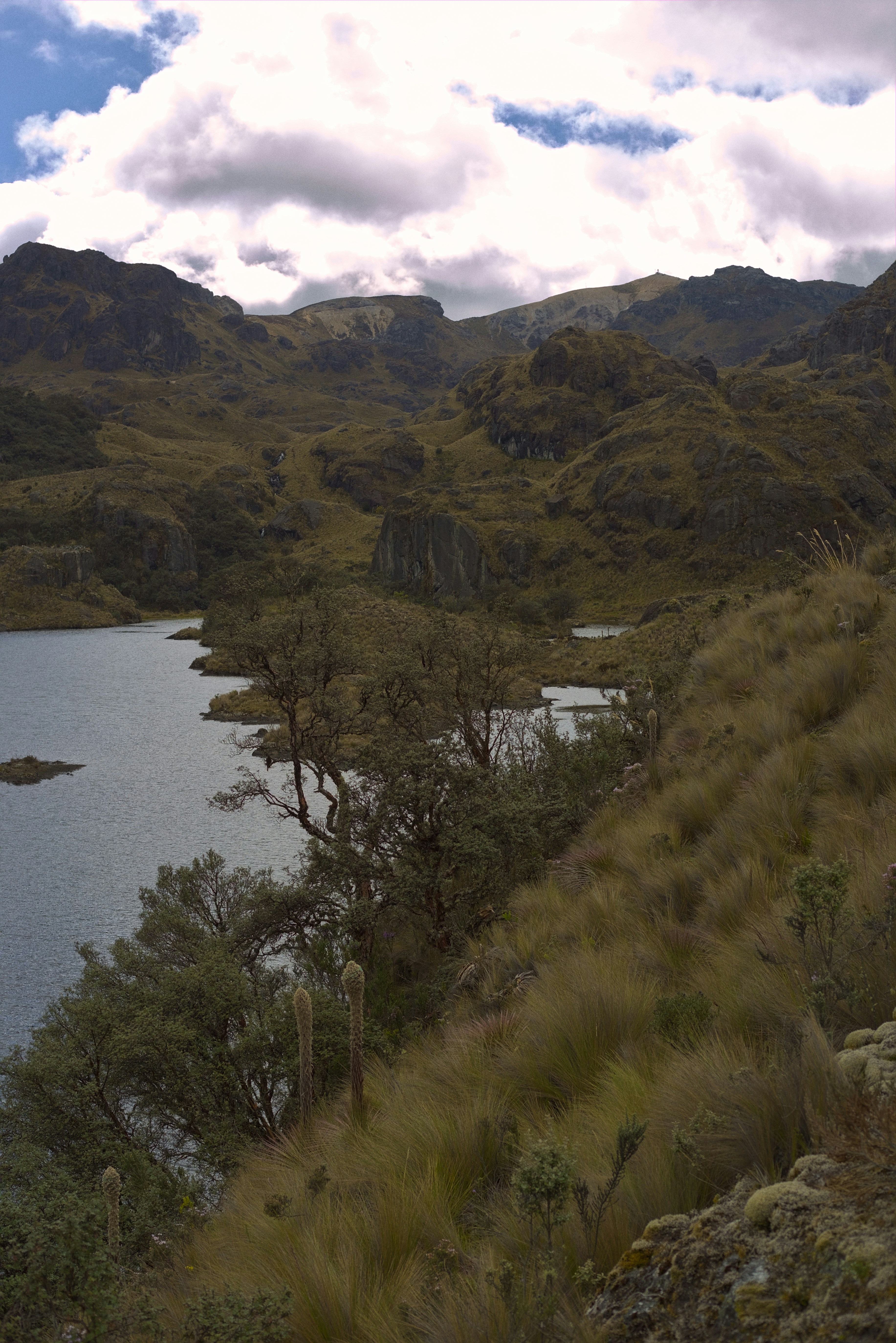 Whispers of the Andean Highlands