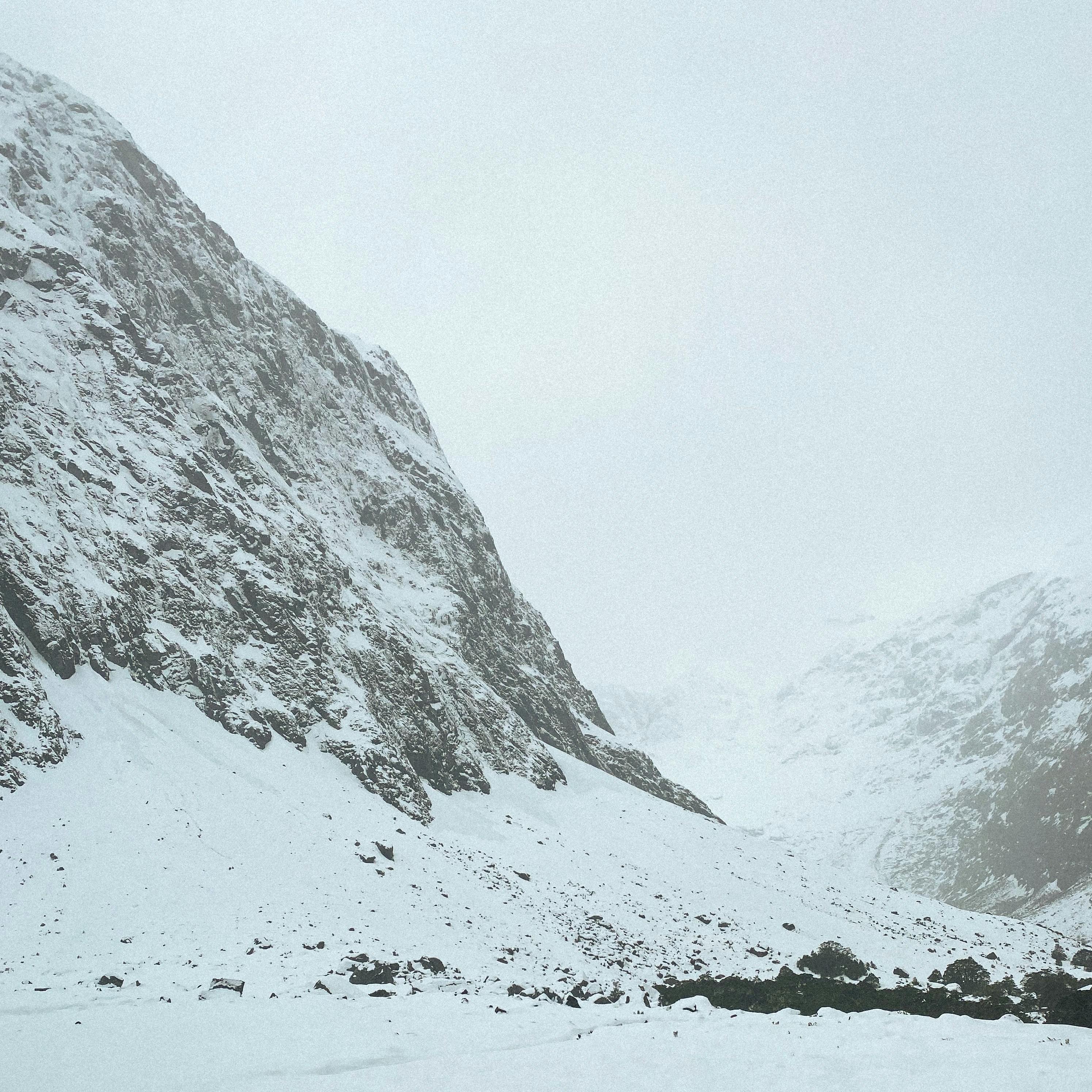 Whispers of Winter's Embrace