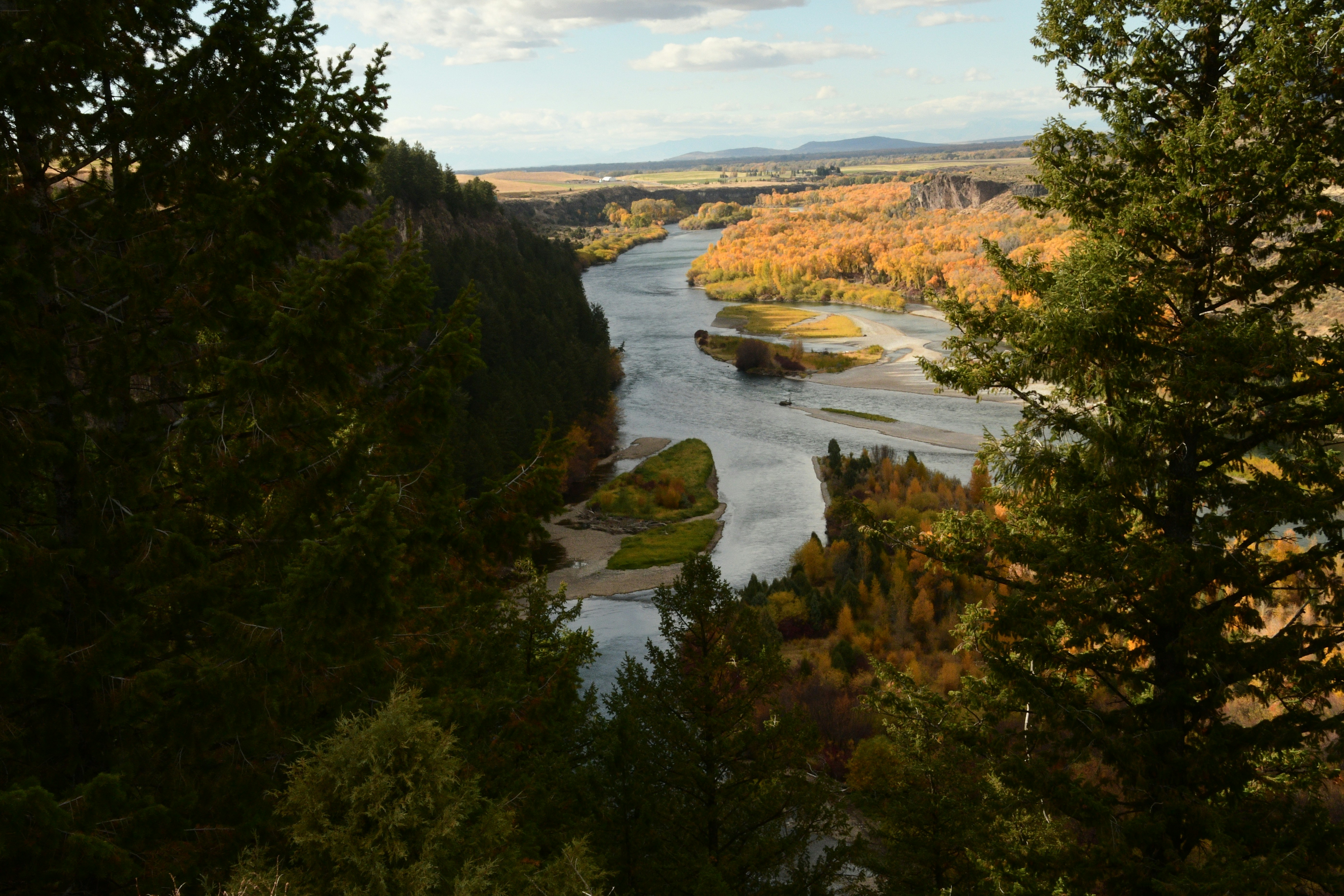Whispers of Autumn: A River's Journey Through Time