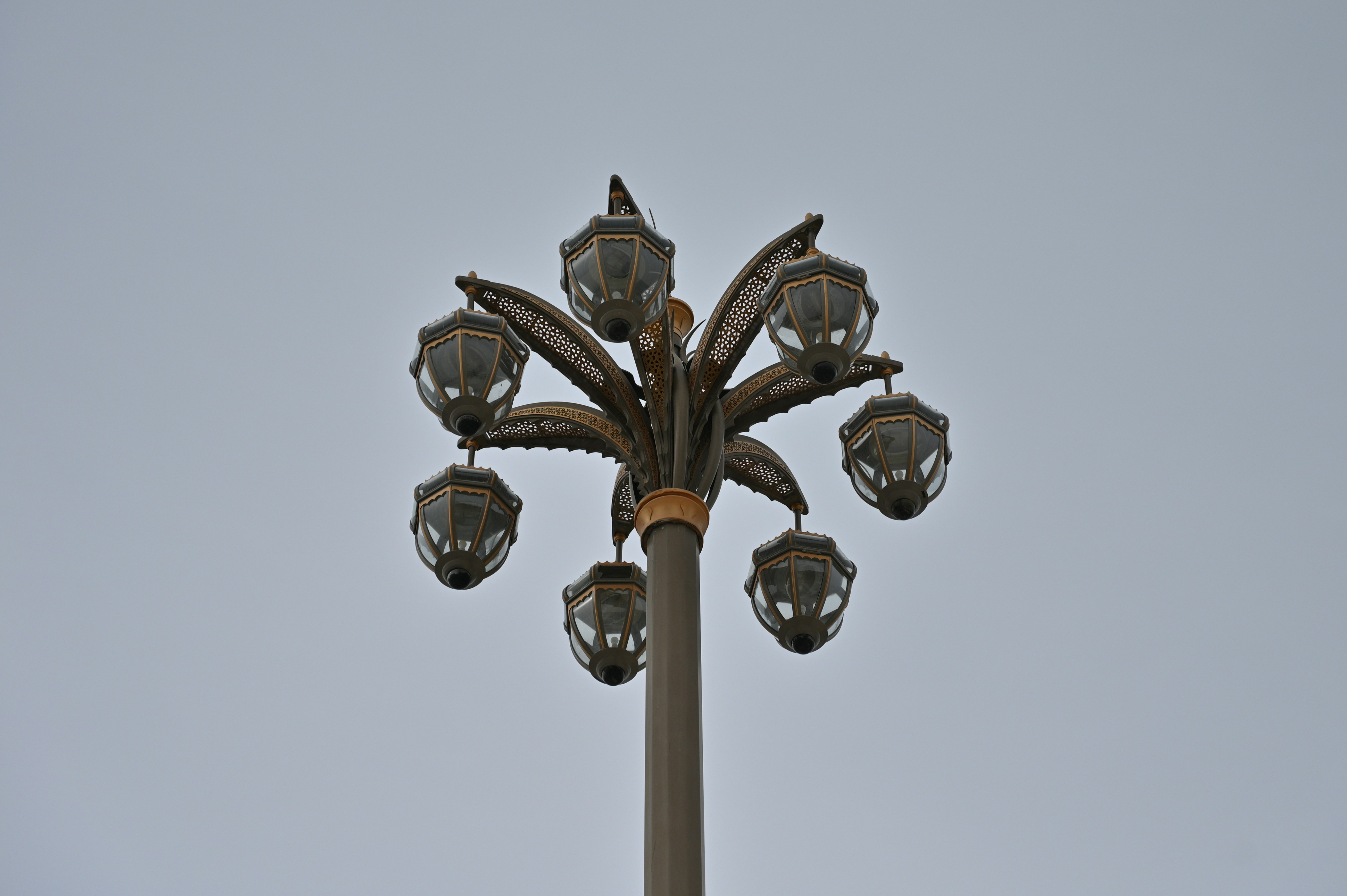 Illuminated Elegance: A Lantern's Dance