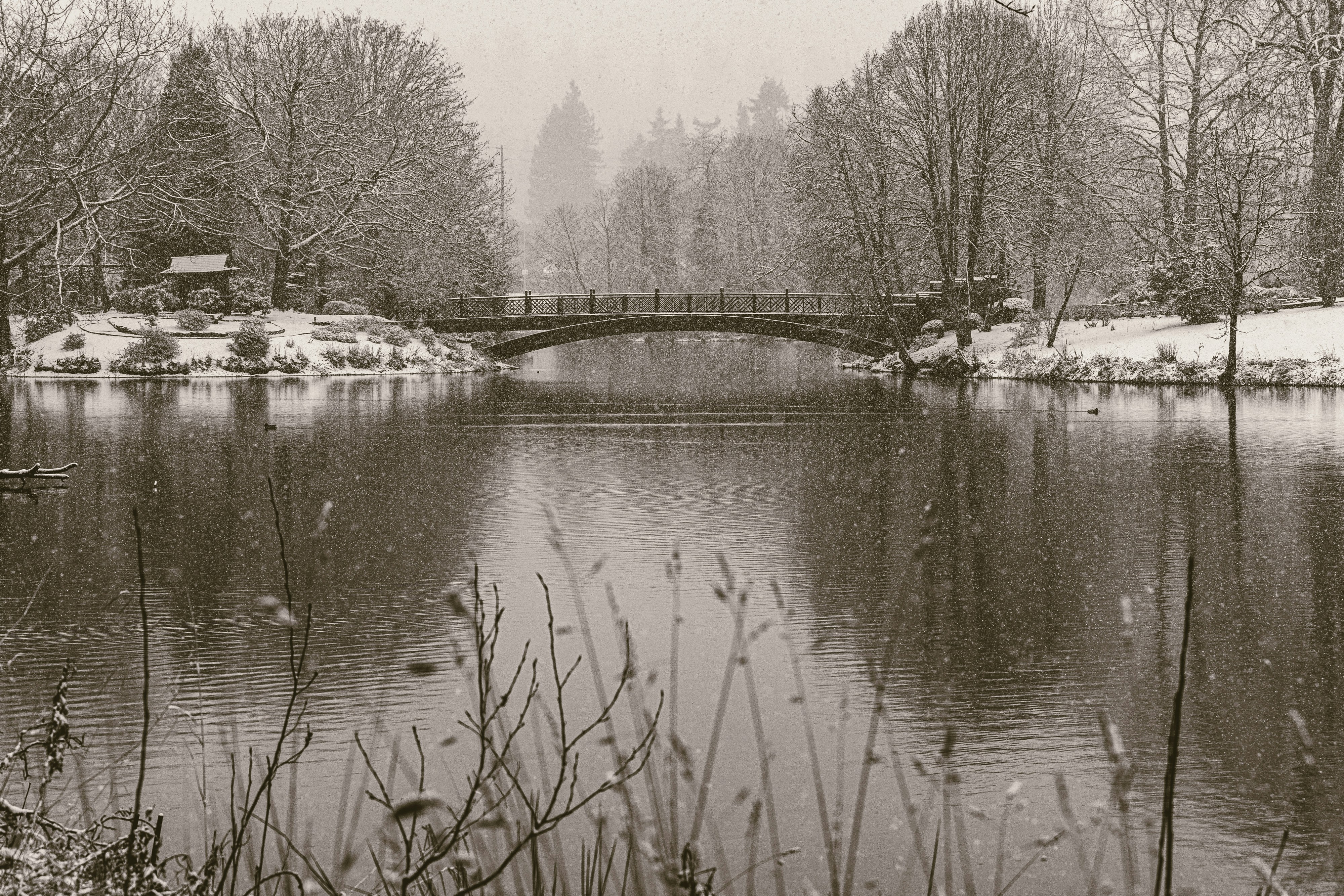 Snow falls on a bridge over a calm lake.
