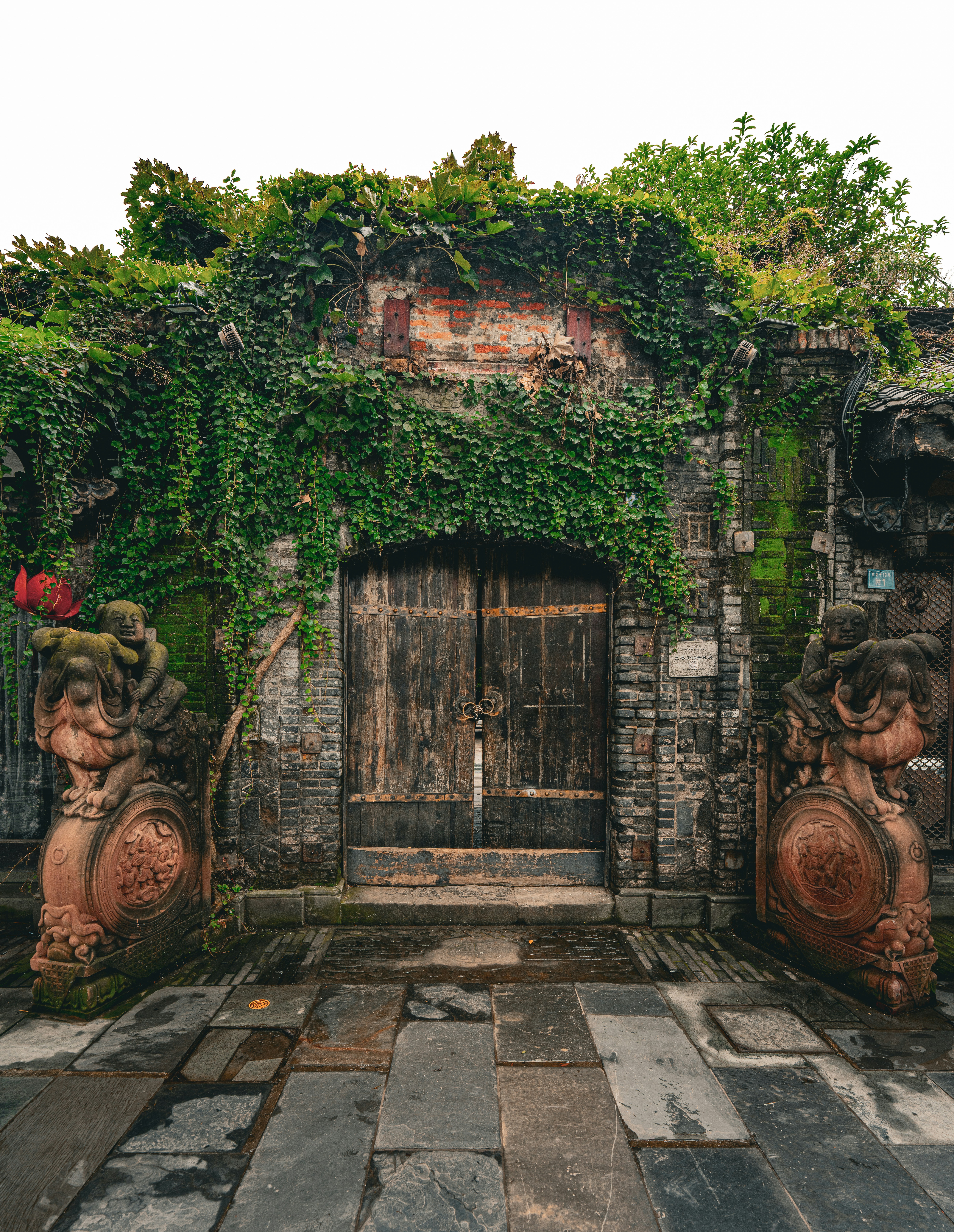 Photo by Declan Sun with Sony Alpha 7R V