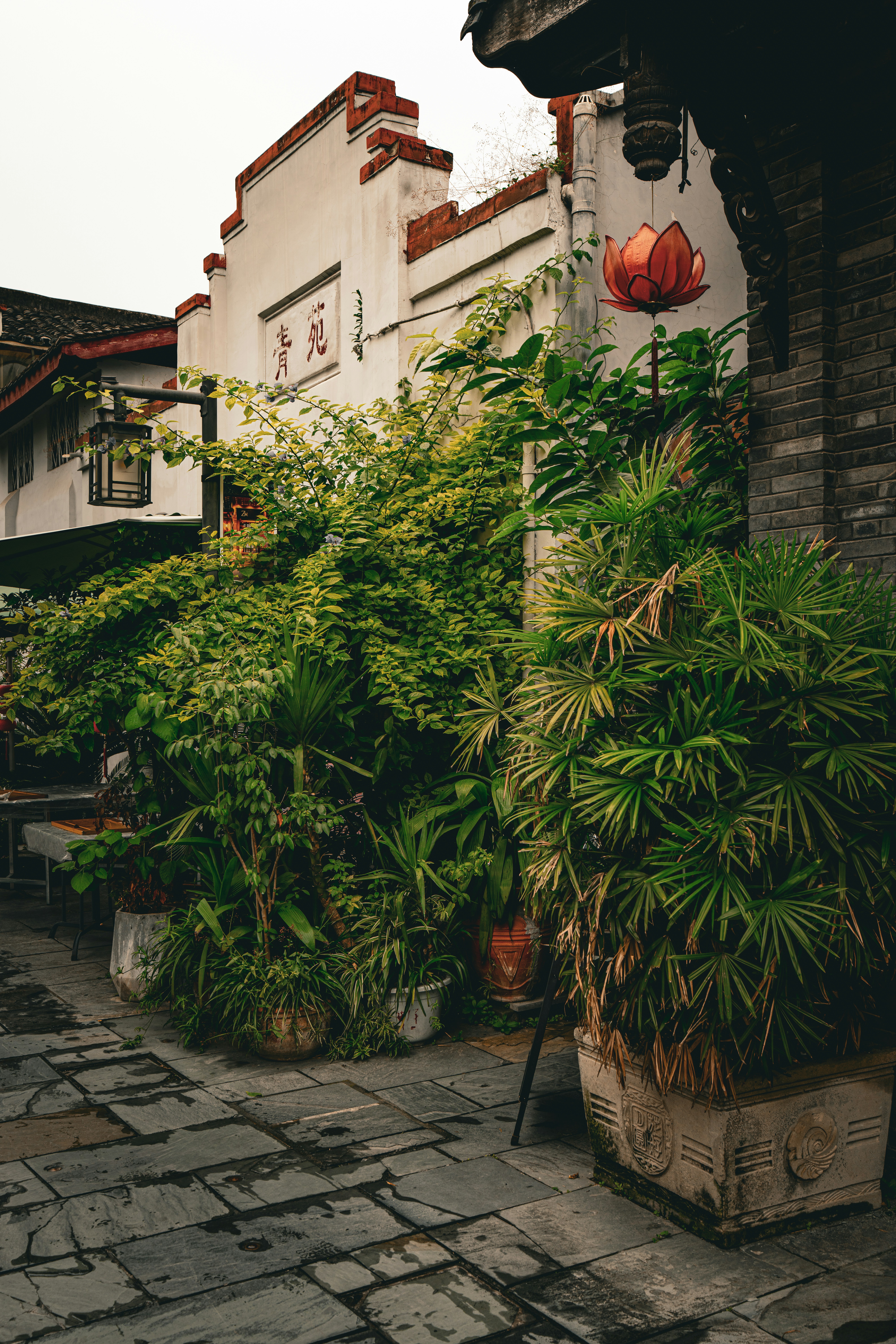 Whispers of Nature in Urban Serenity