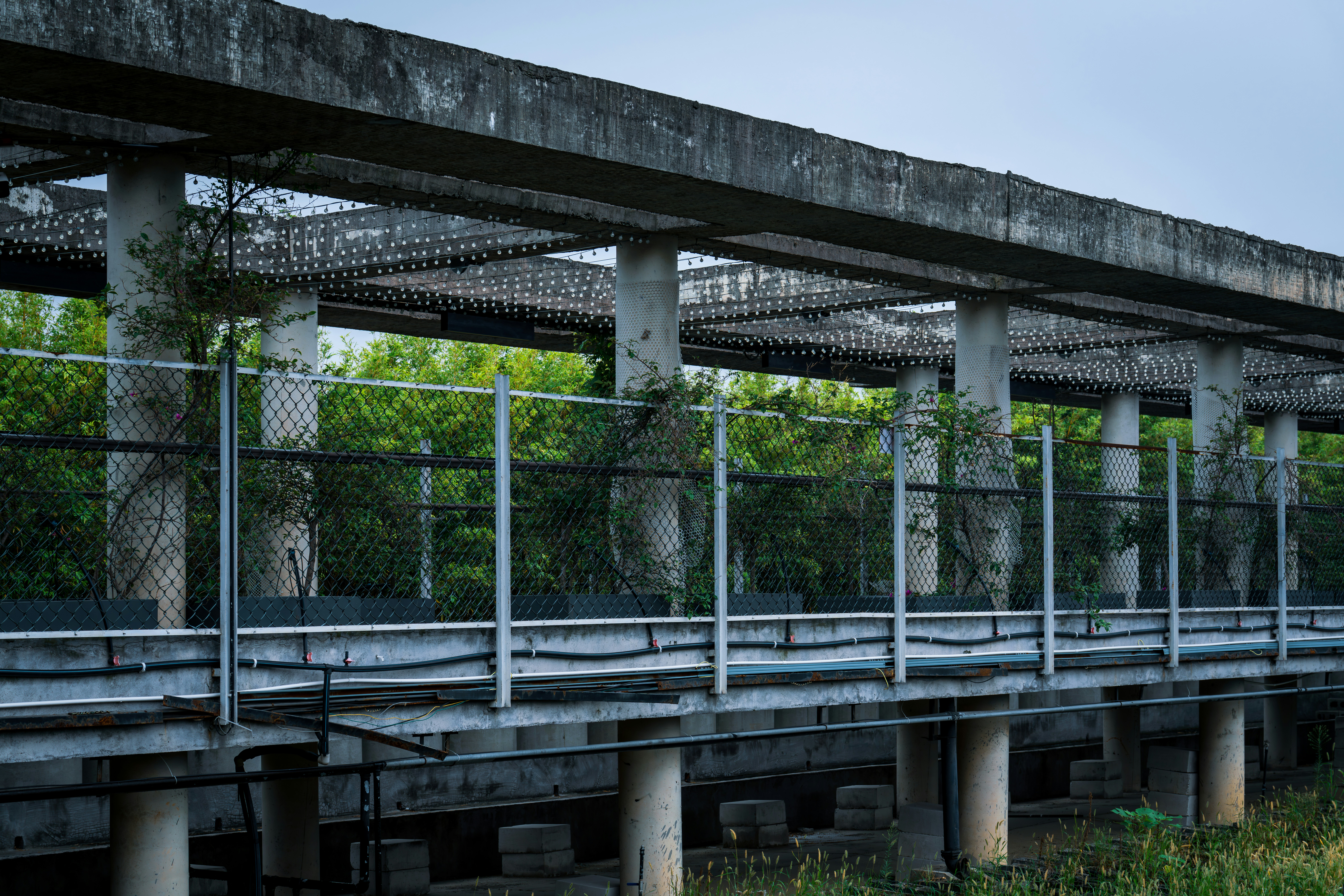 West Village Basis Yard | Abandoned concrete structure with overgrown vegetation