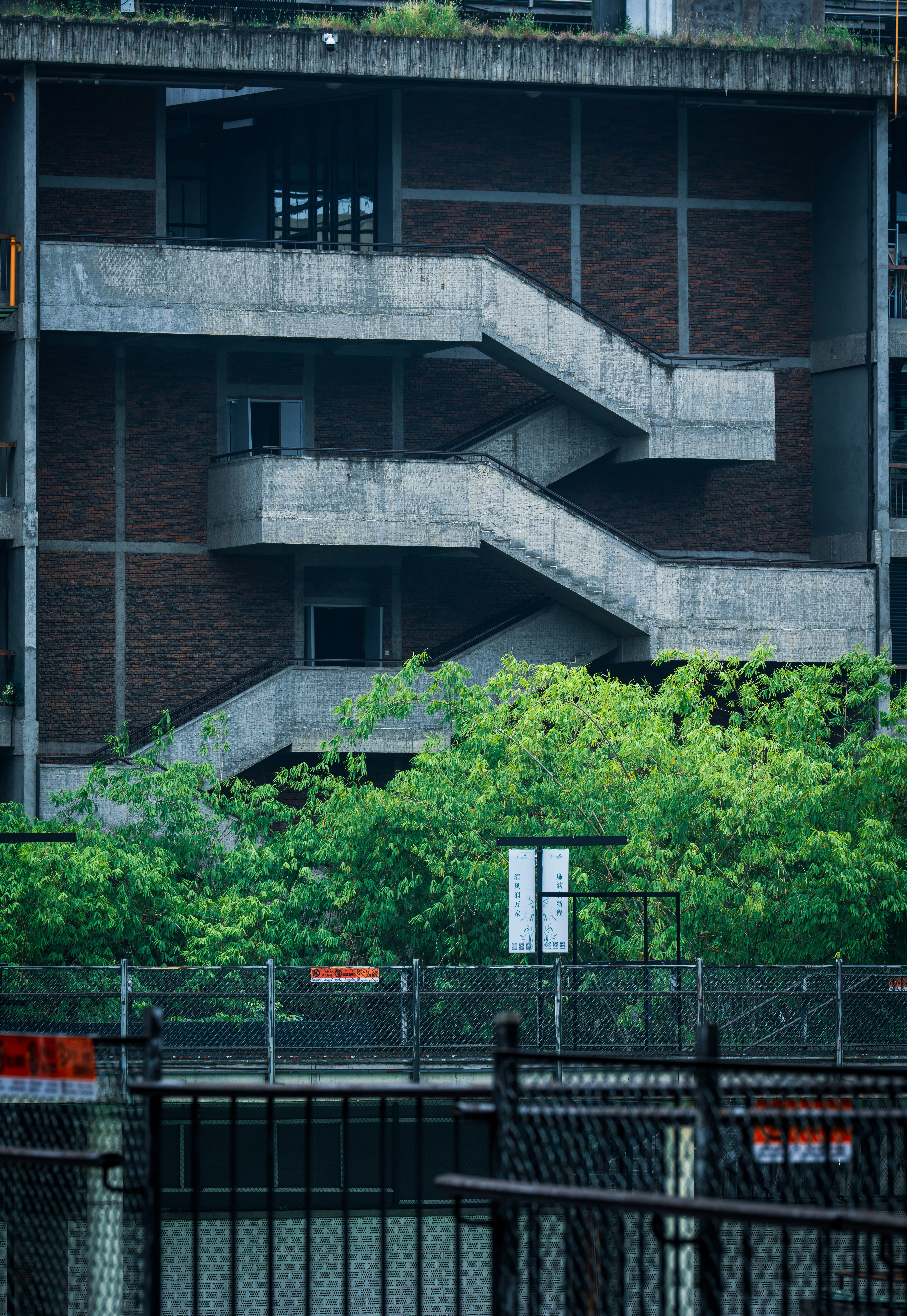 Concrete Curves Amidst Urban Greenery