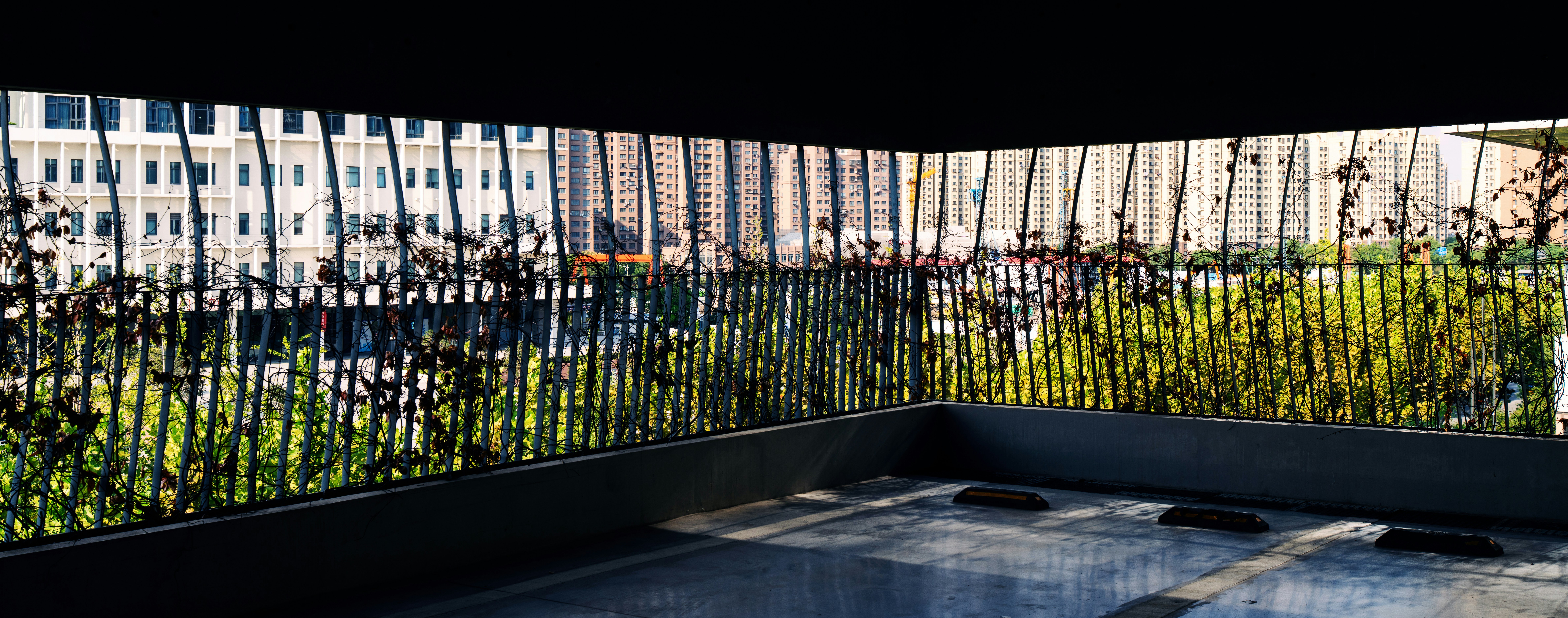 Urban Oasis: Nature Meets Architecture
