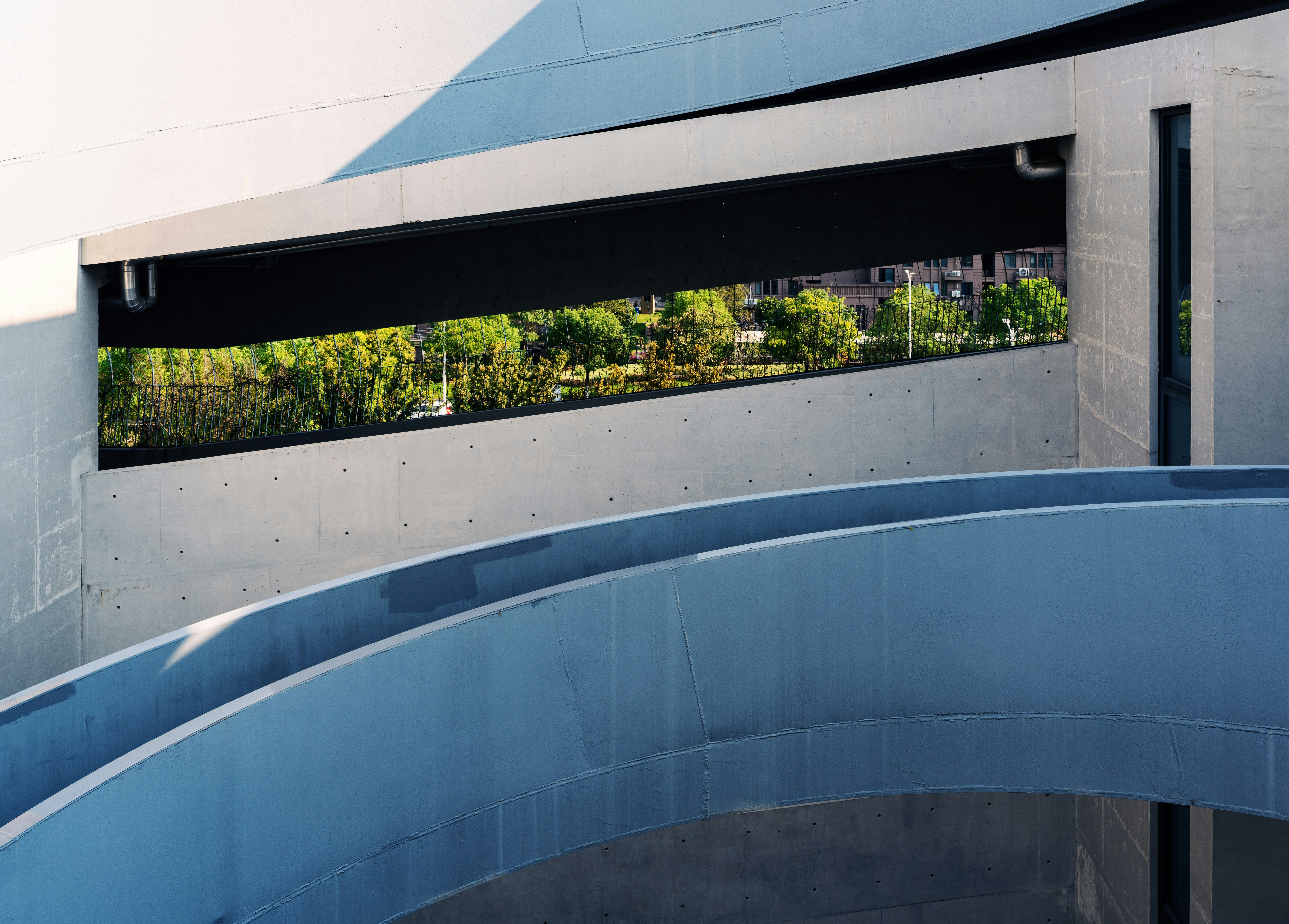 Photo by Declan Sun with Sony Alpha 7R V