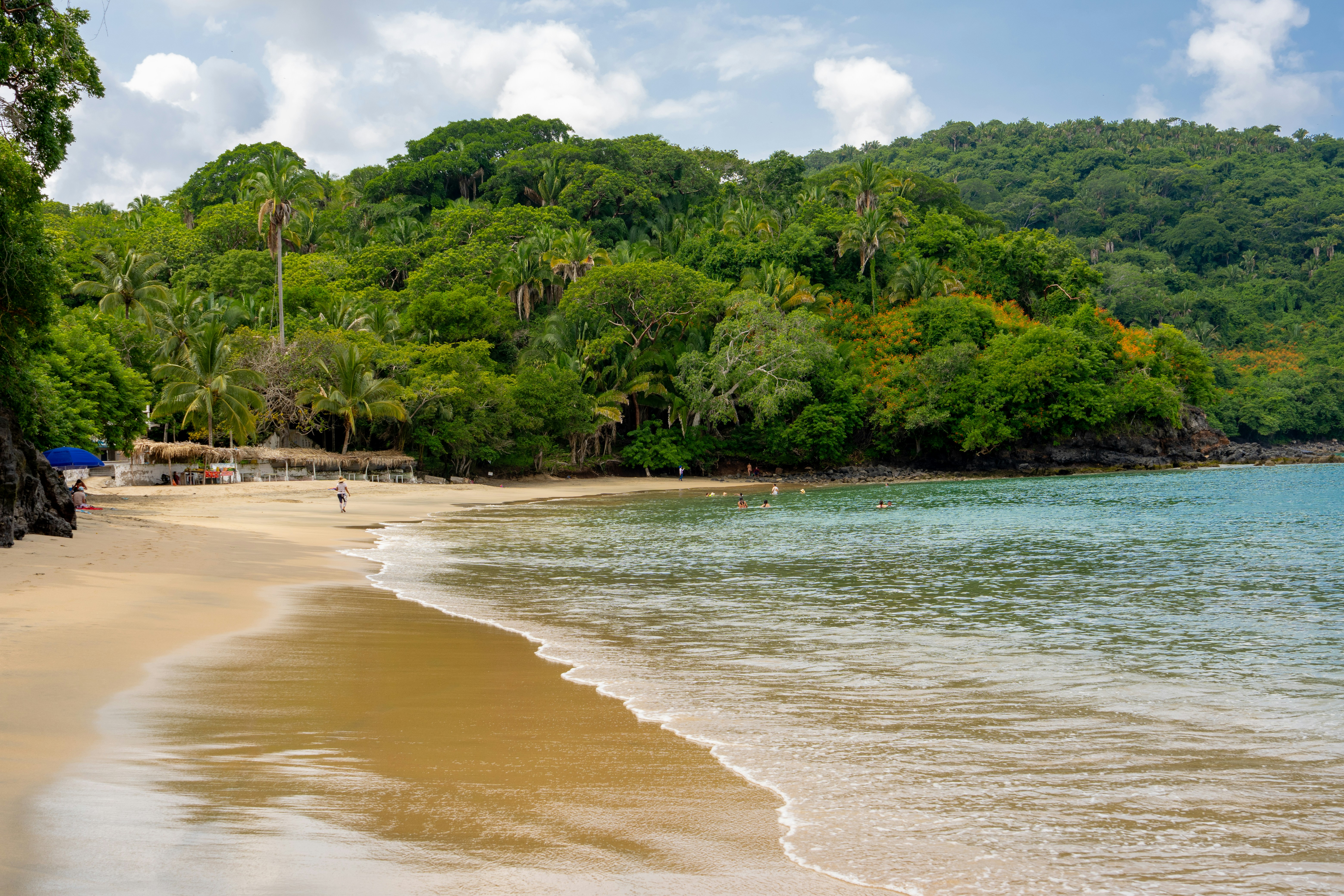 Tropical beach with lush green trees and calm ocean waves.