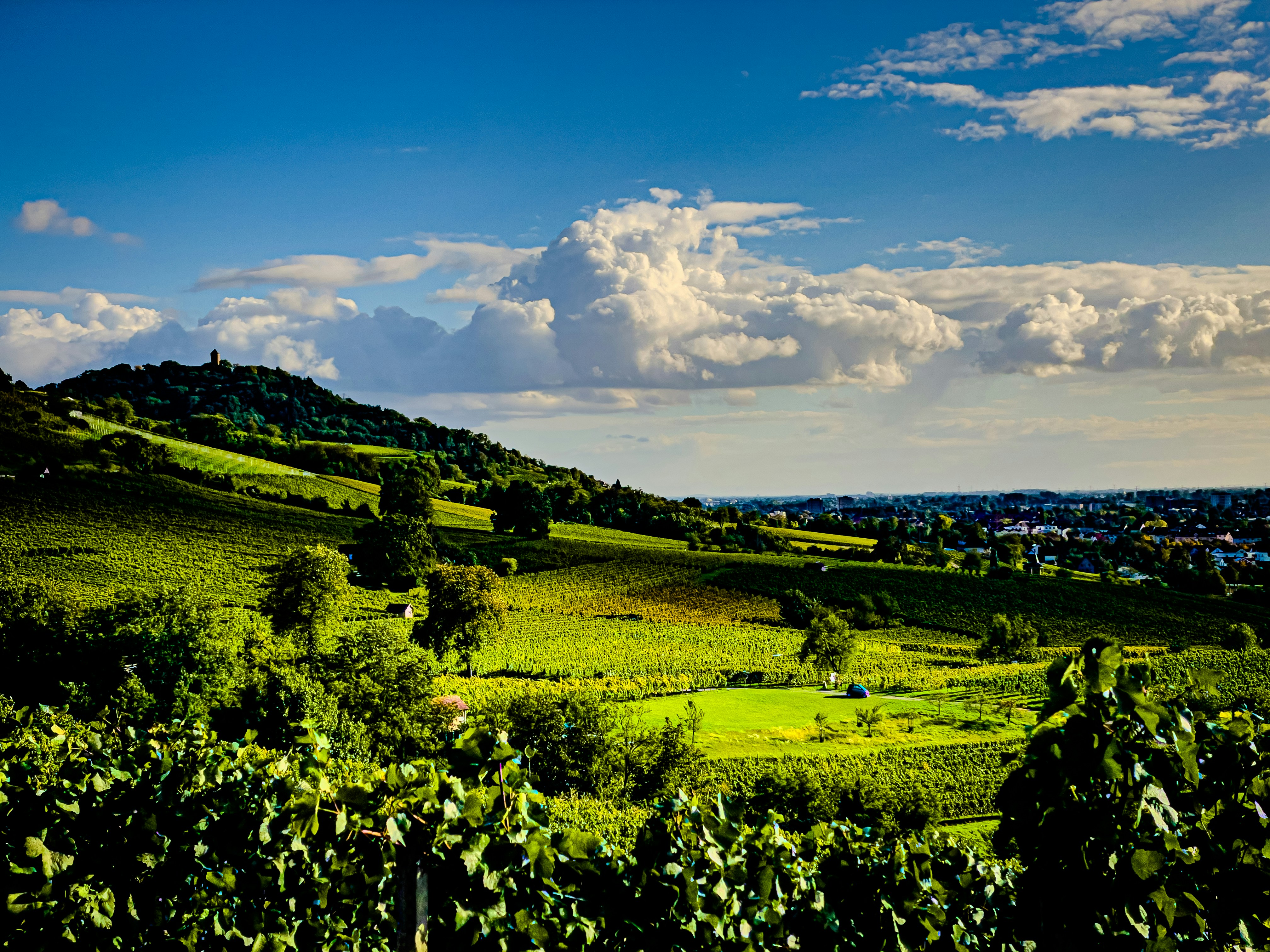 Verdant Tapestry Under a Cloudy Canvas