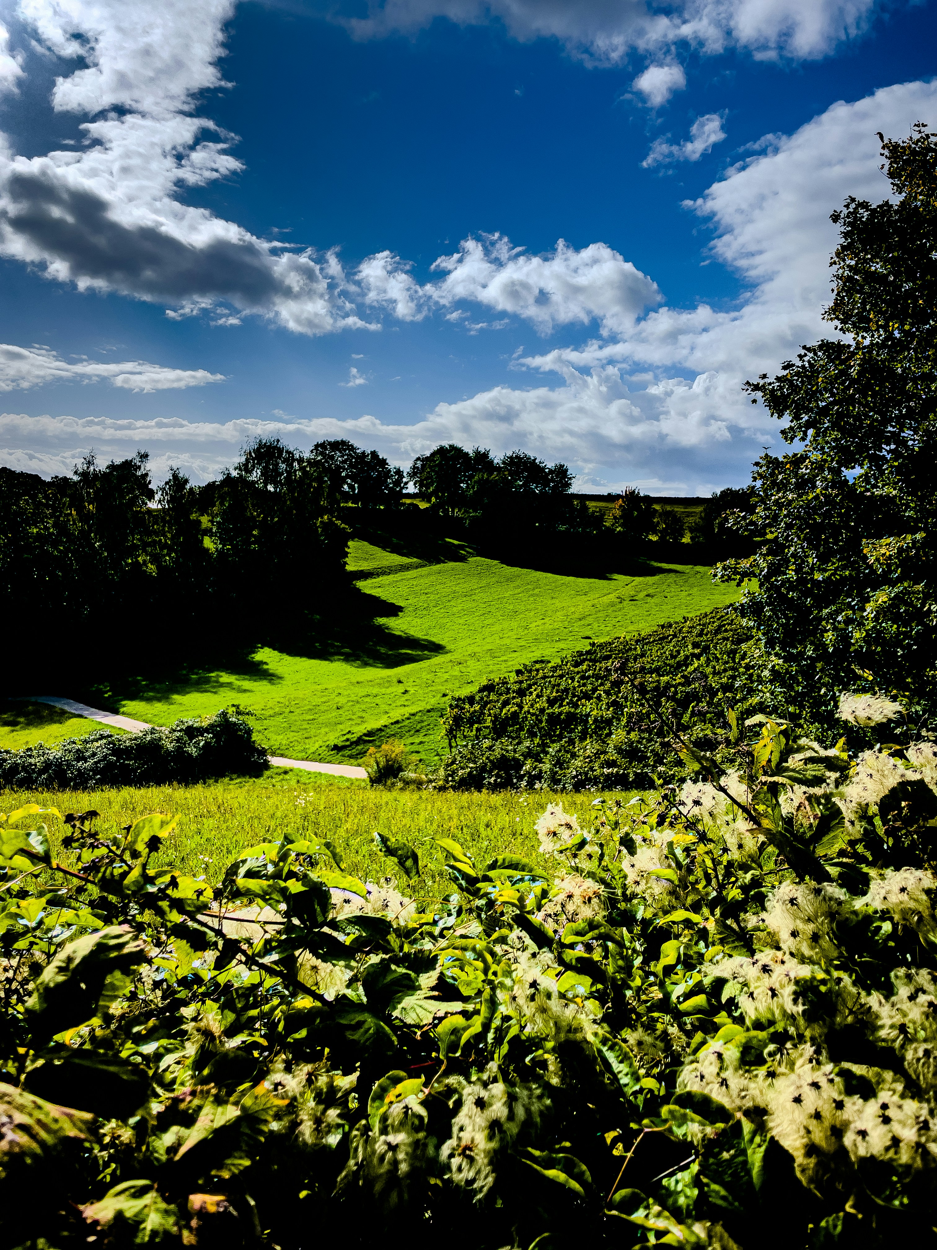 Lush green rolling hills under a dramatic cloudy sky.