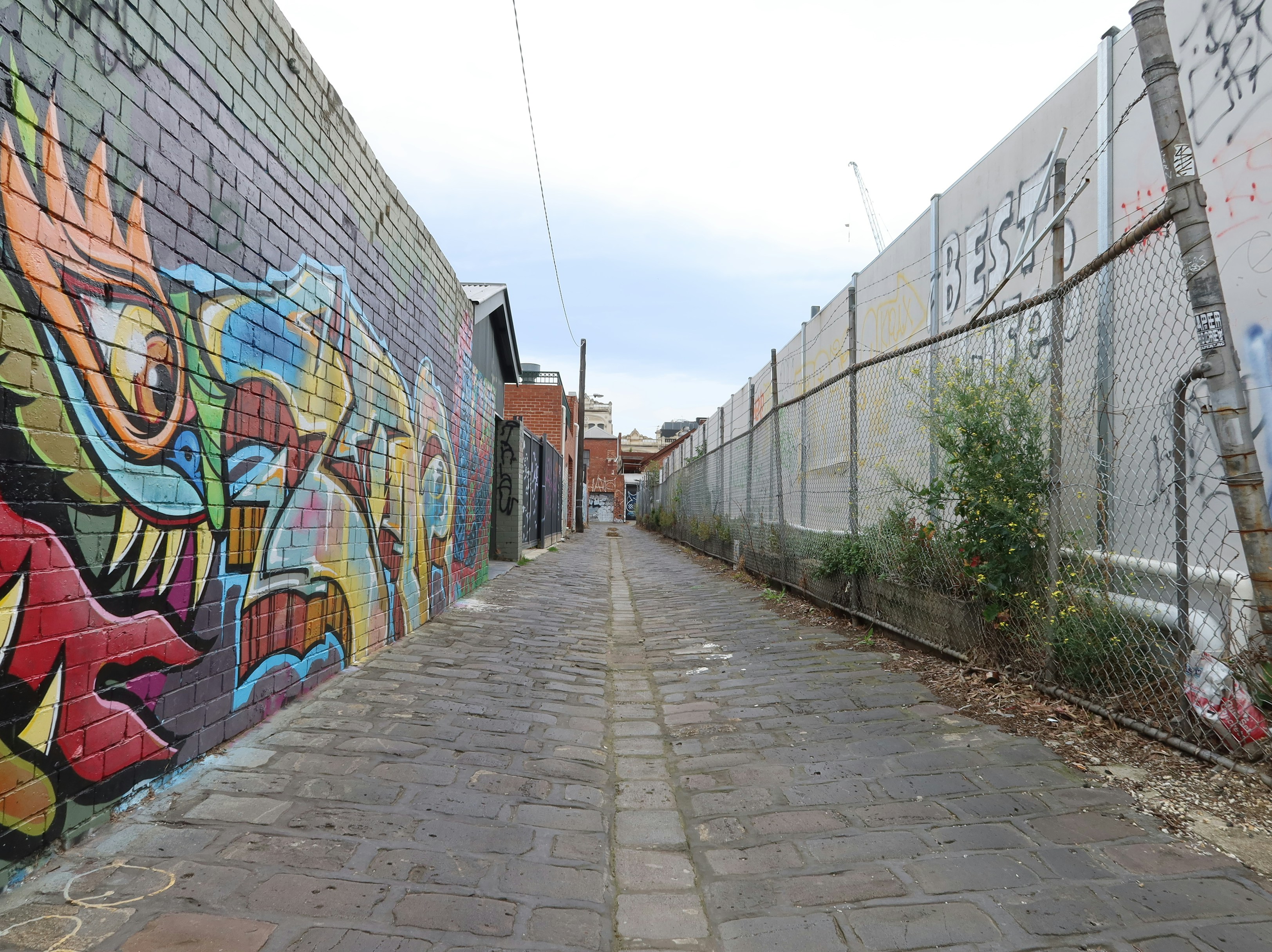 Urban Canvas: A Journey Through Colorful Alleys