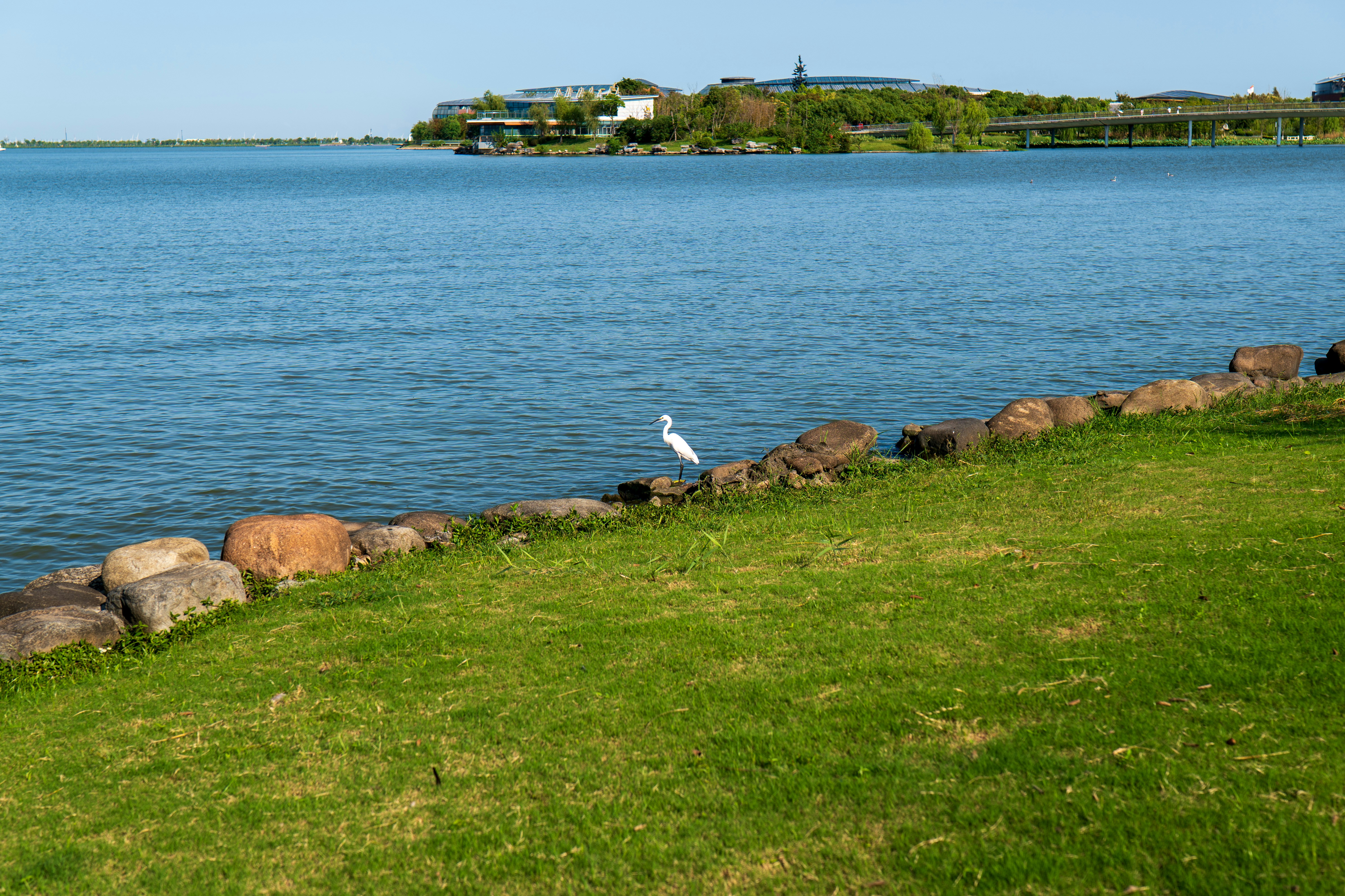 Serenity by the Water's Edge