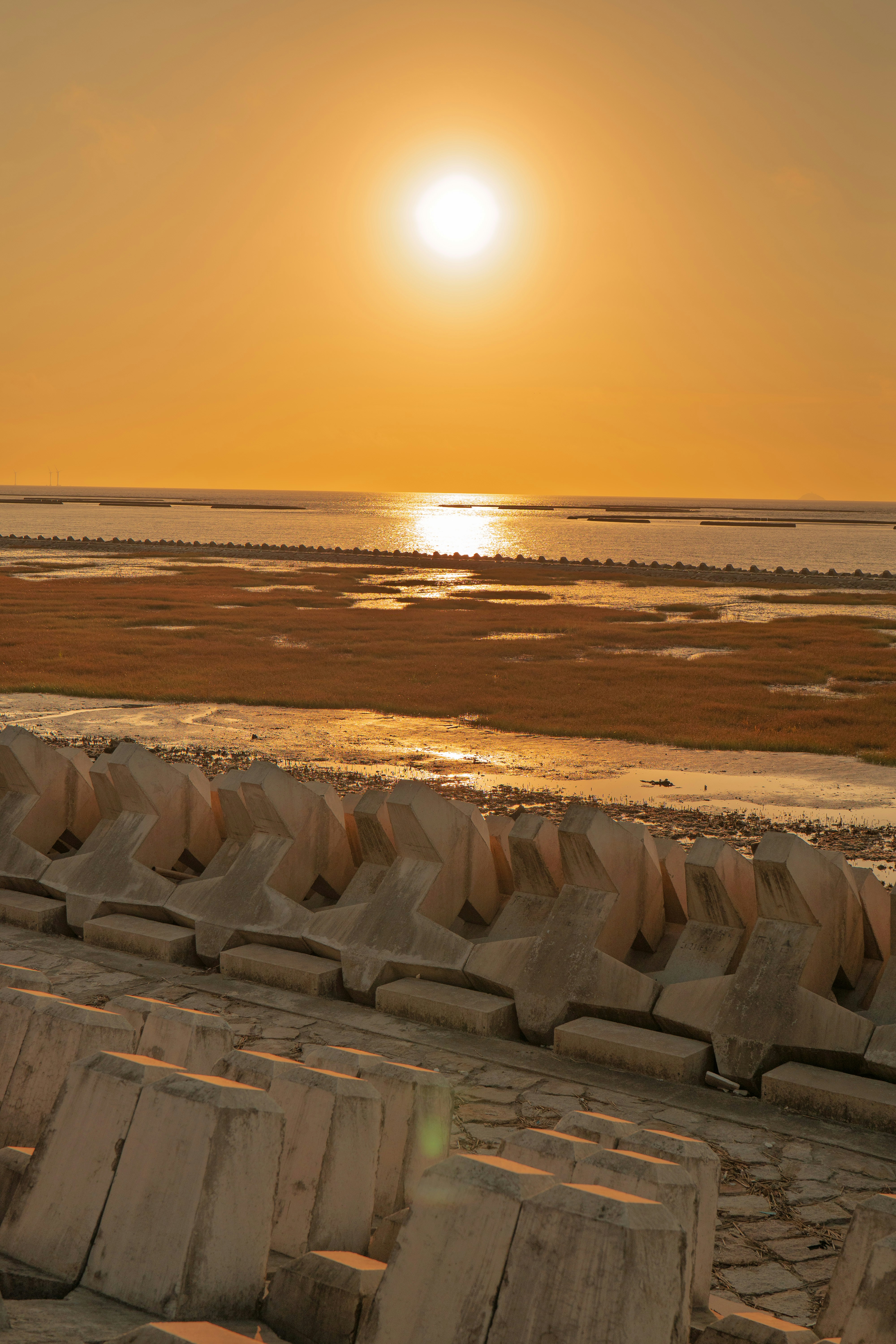 Sunset Harmony Over Marshlands