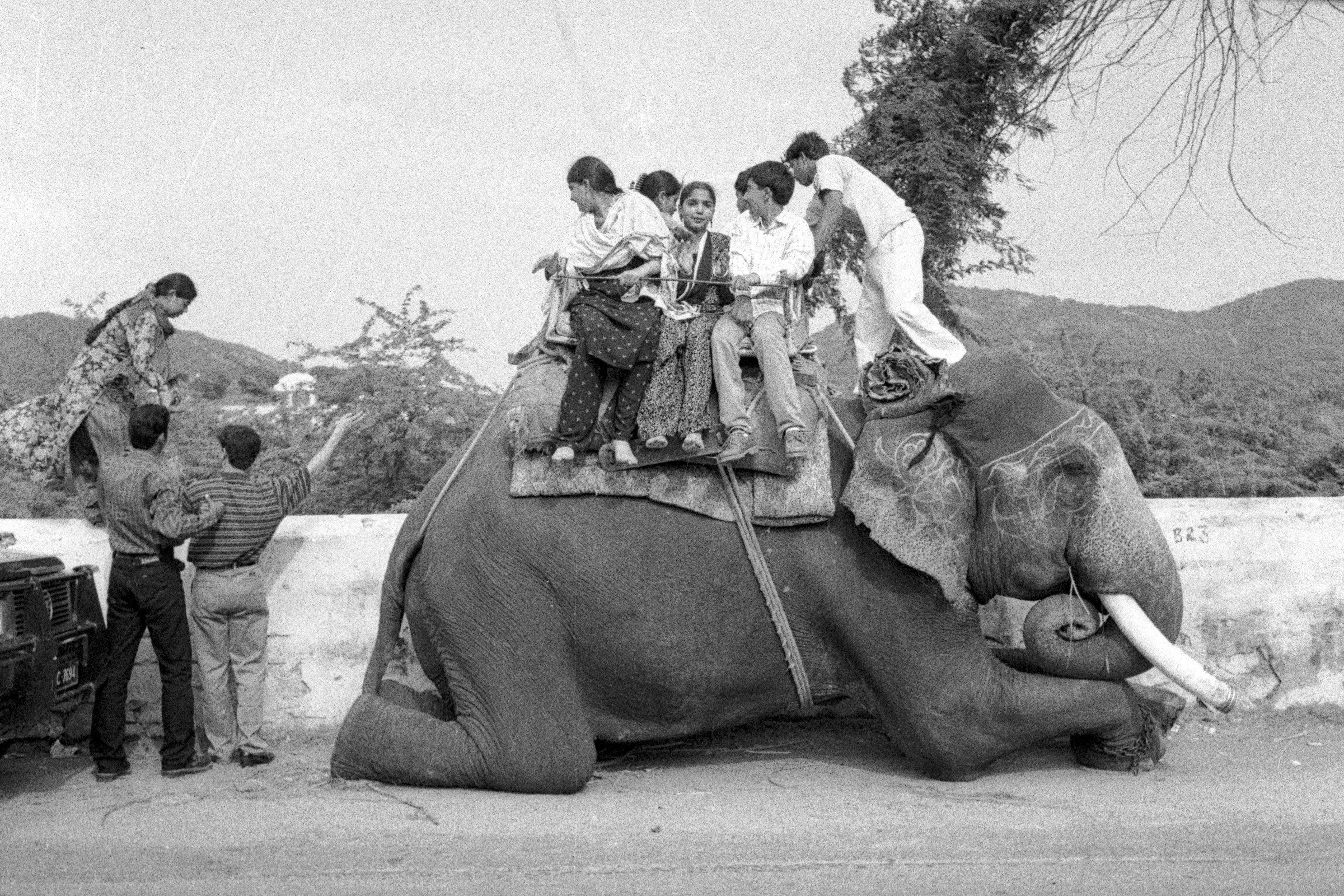 Group of people riding an elephant while others interact nearby in a scenic landscape. The scene reflects a cultural experience with animals.