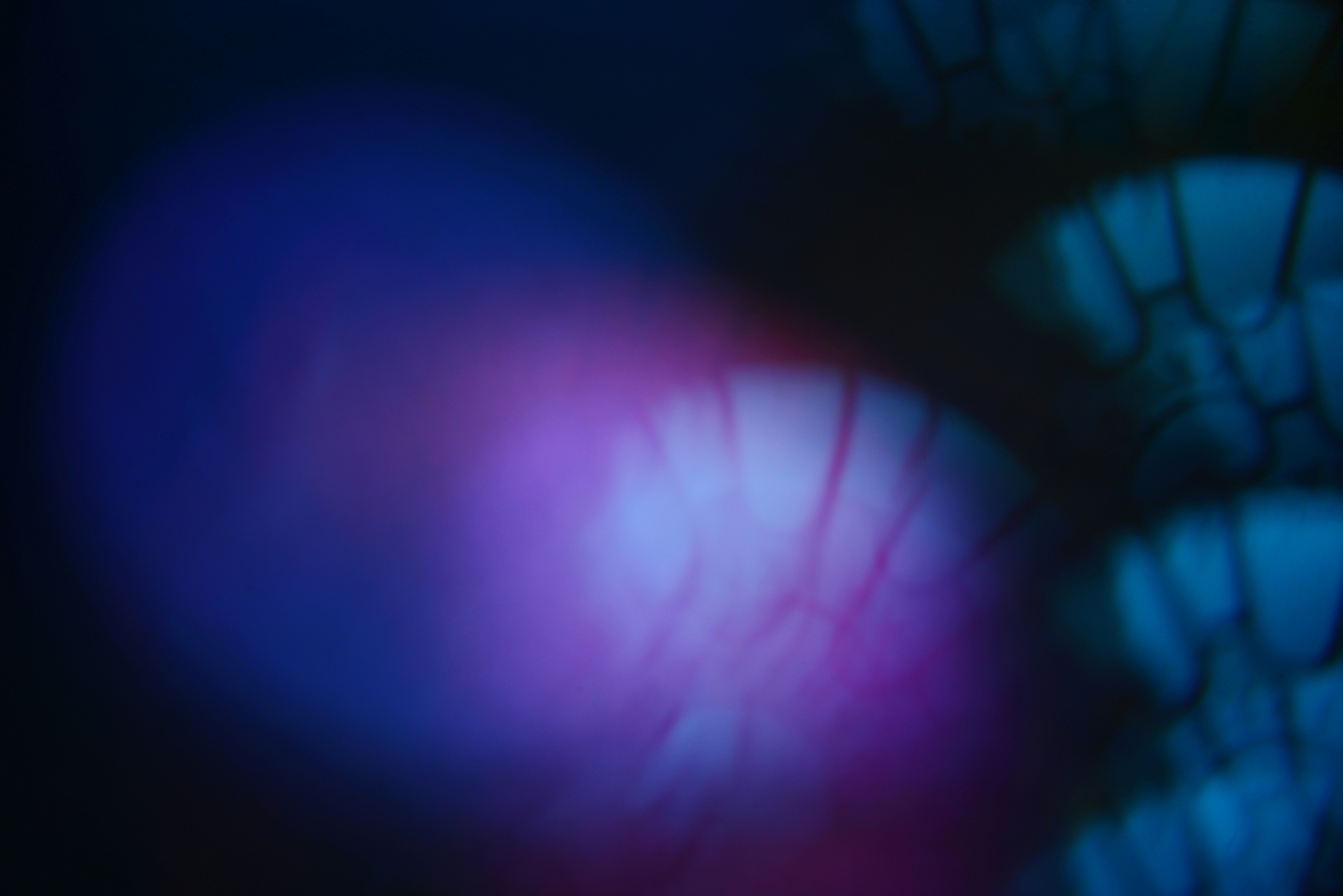 Abstract play of light and color creating a dreamy atmosphere with hints of intricate patterns.