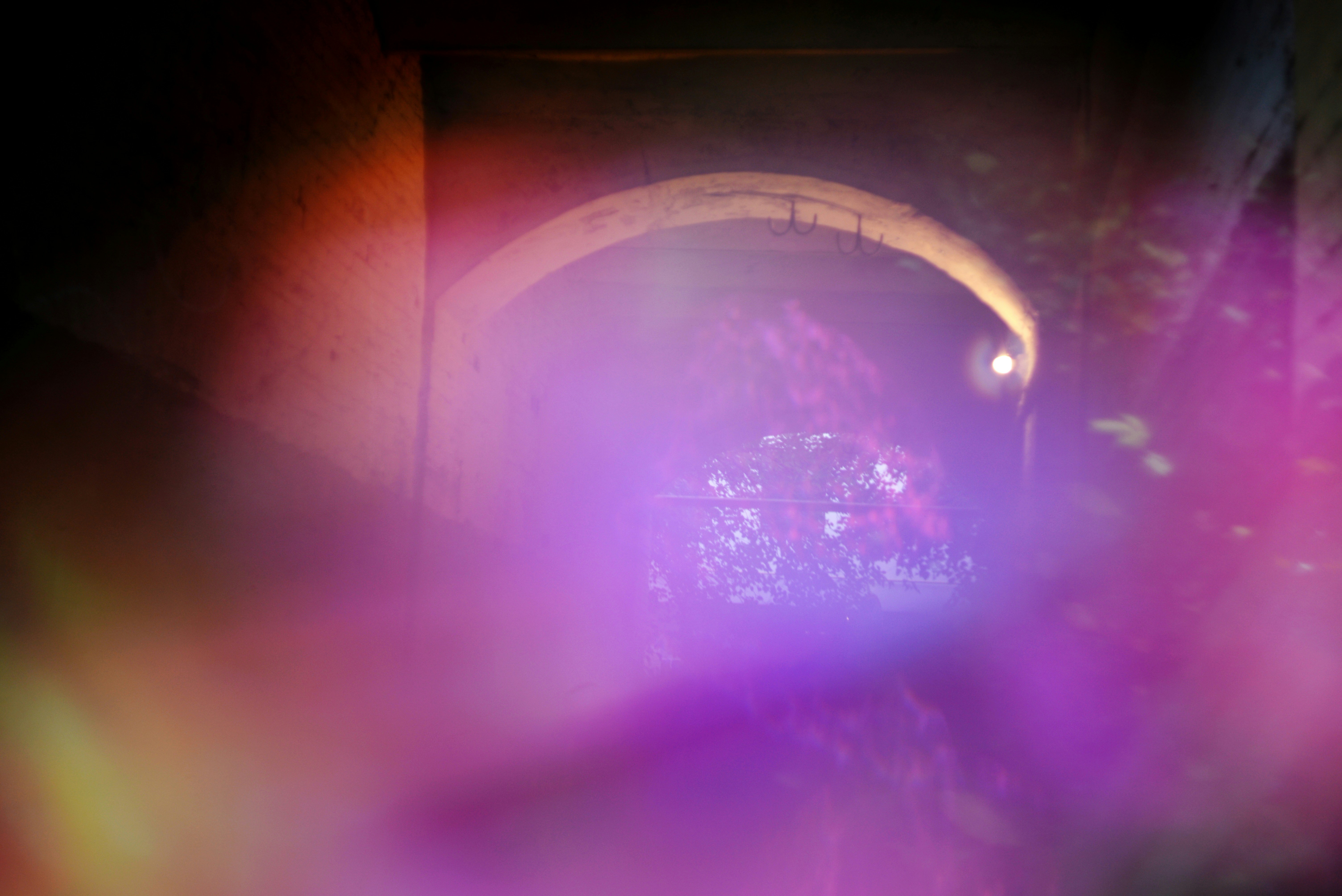 Whispers of Light in a Forgotten Passage
