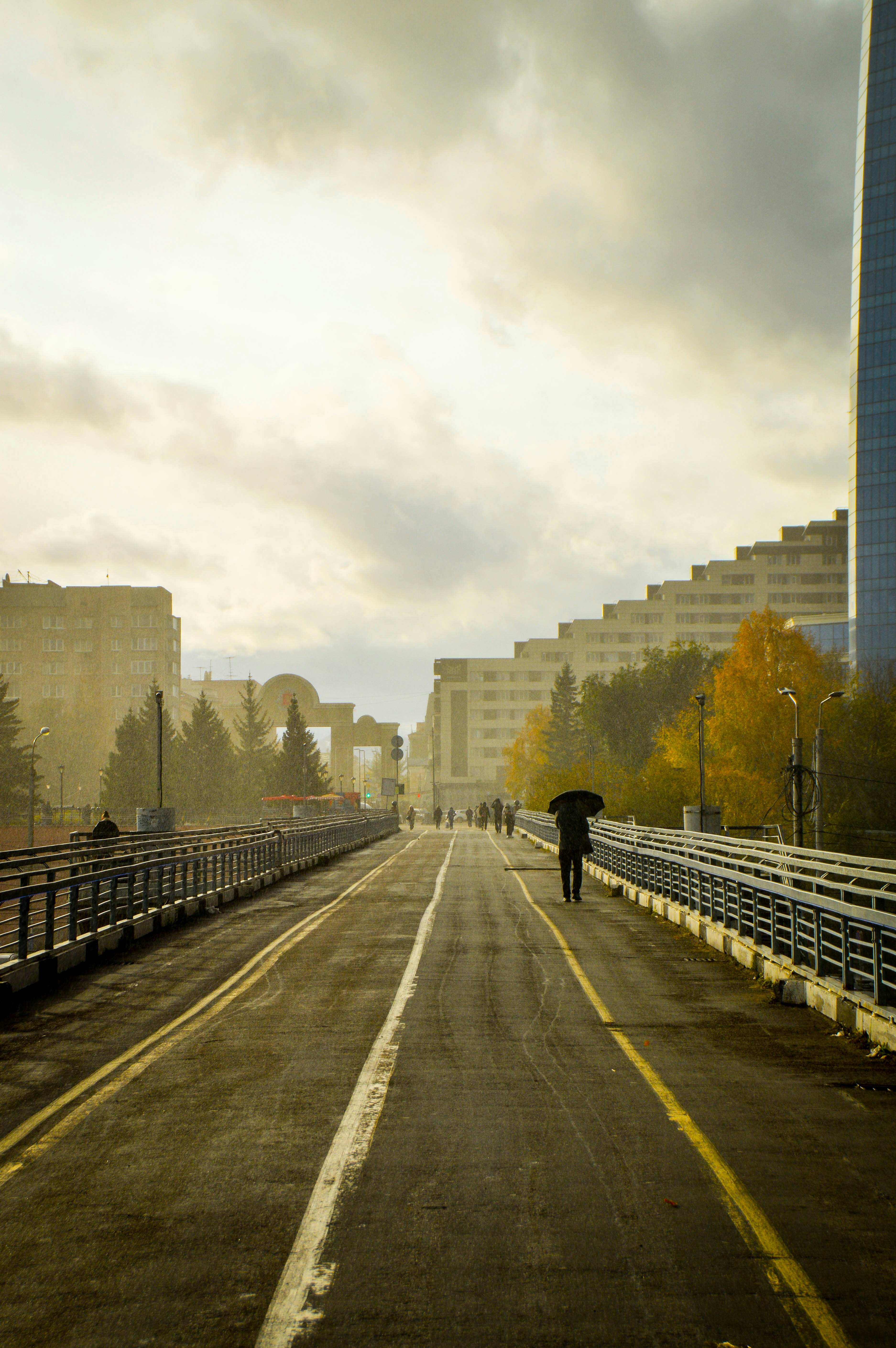Person with umbrella walks on a bridge in autumn.