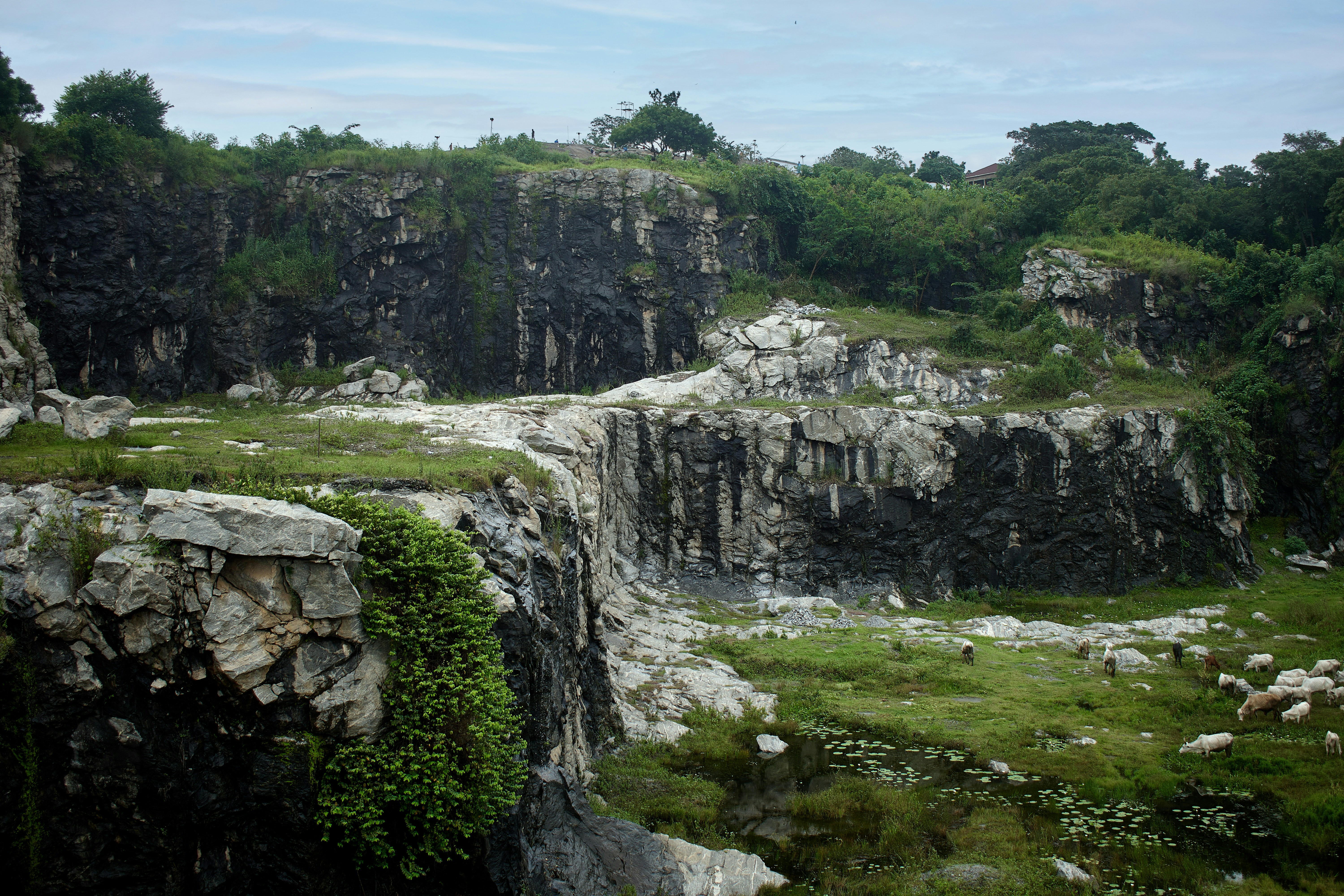 Nature's Stone Canvas: A Tapestry of Rock and Greenery