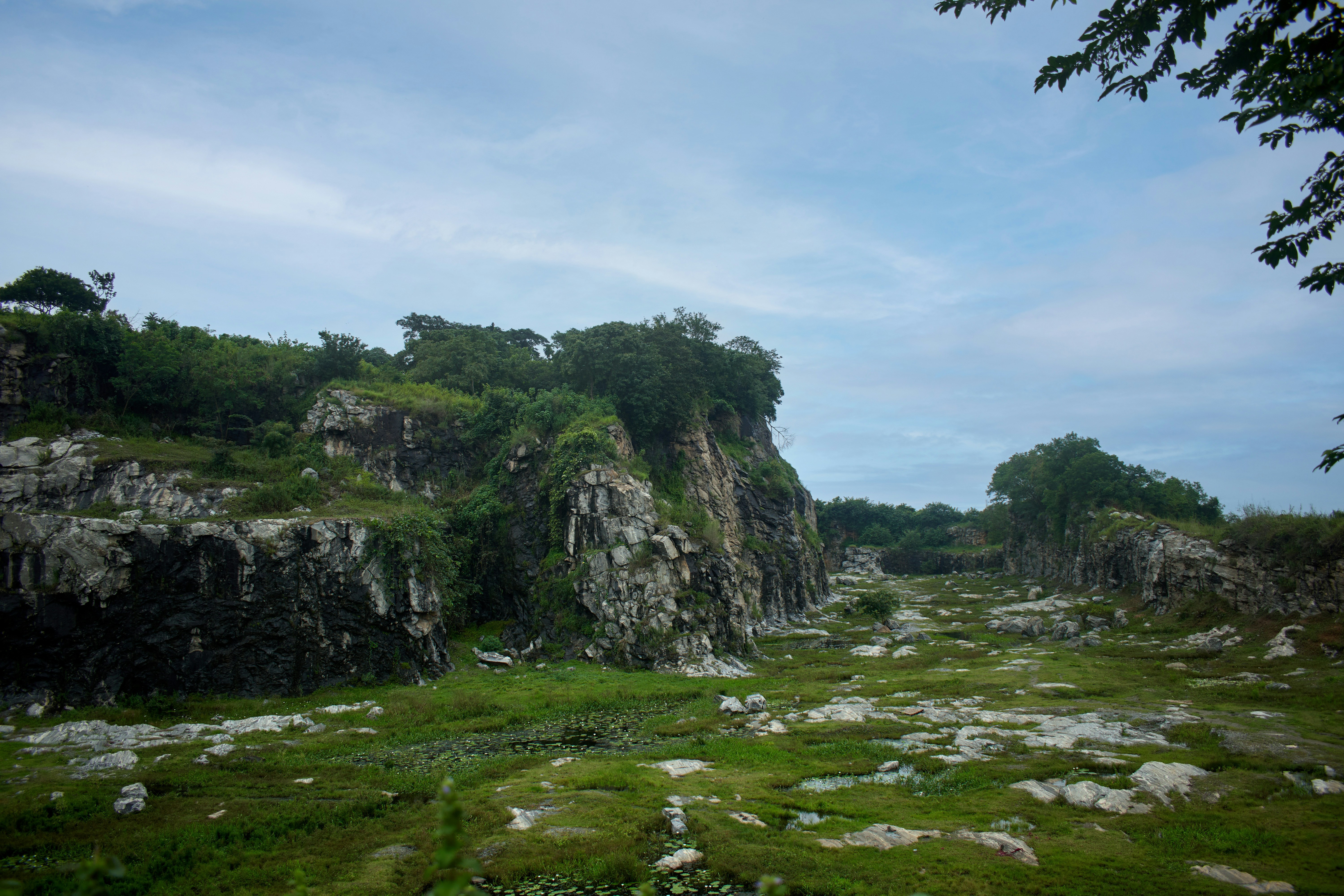 Echoes of Nature's Resilience