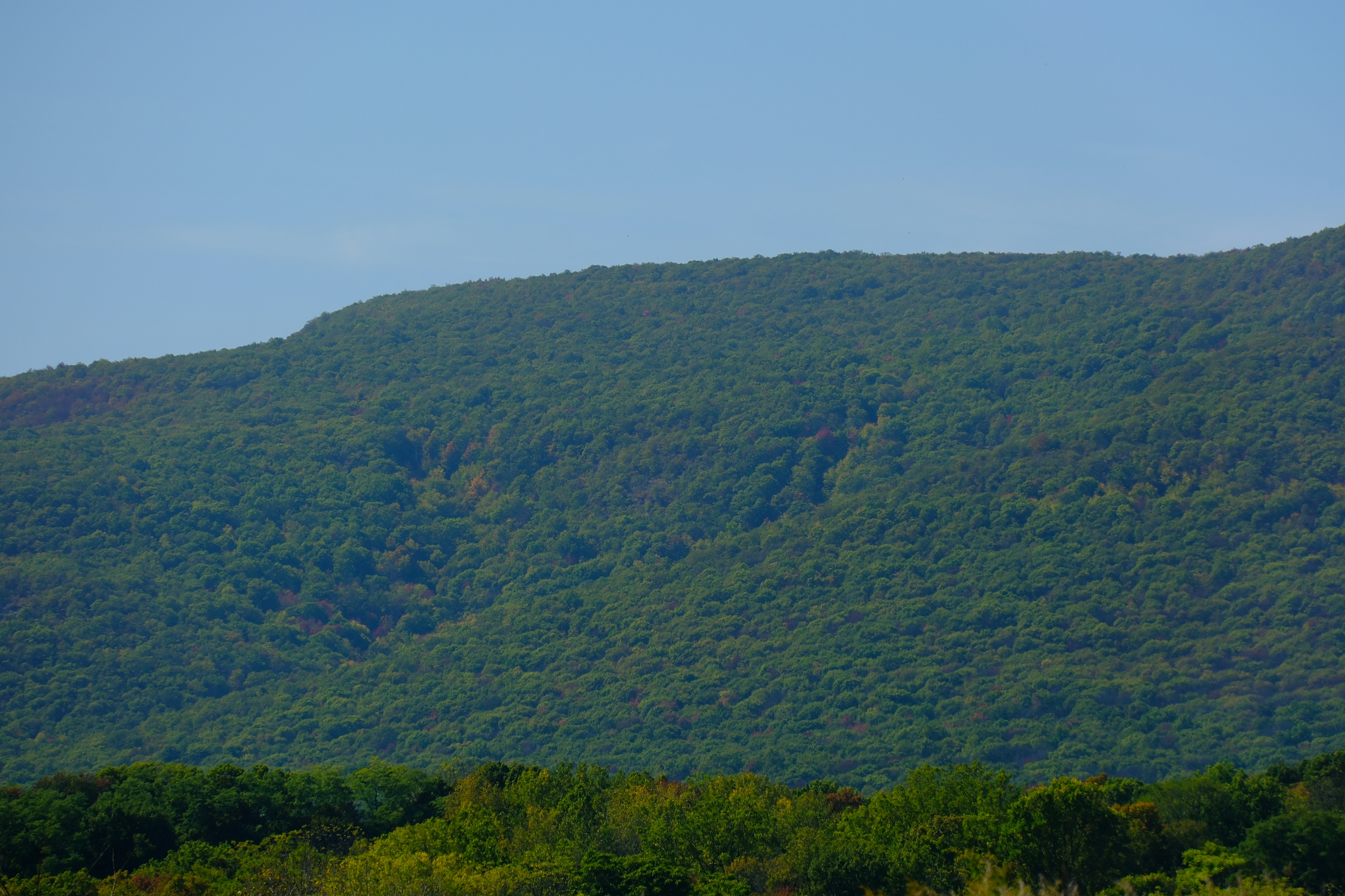 large mountain scape with trees | Lush green forested mountain under a clear blue sky.